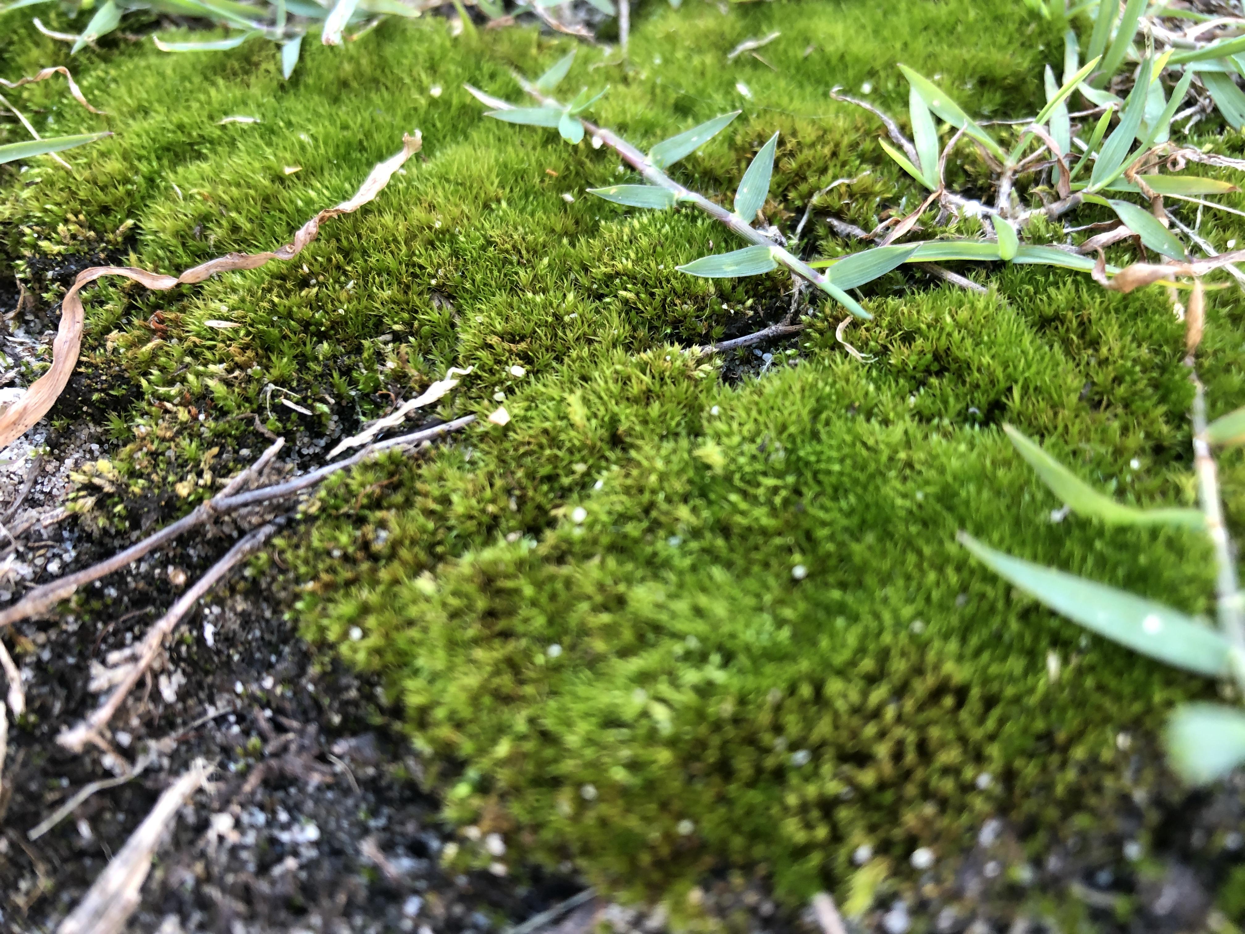 Feels so soft! | Scrolller