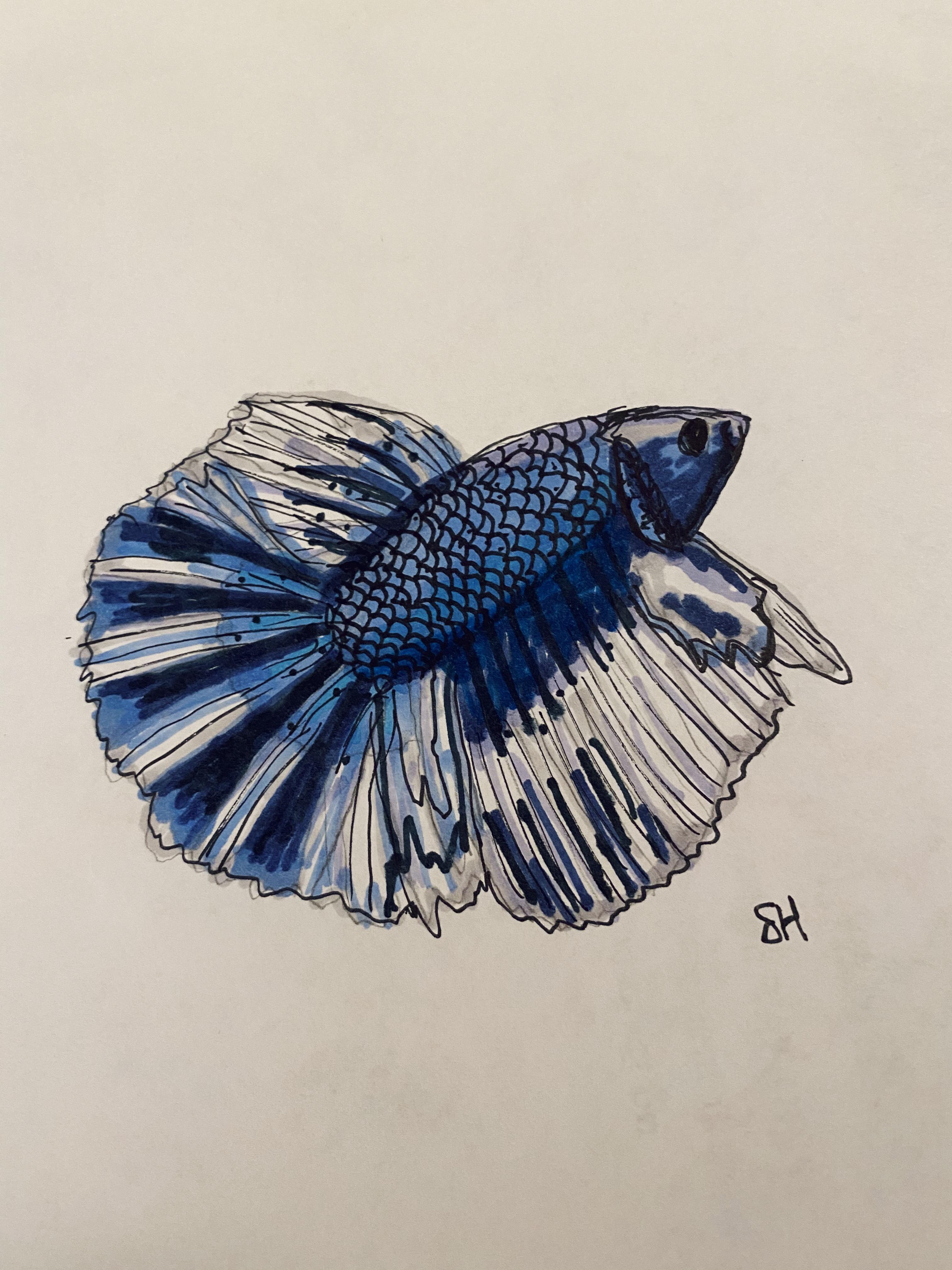 Felt like drawing and drew u/Critical_Chip's betta, Stronzo! | Scrolller