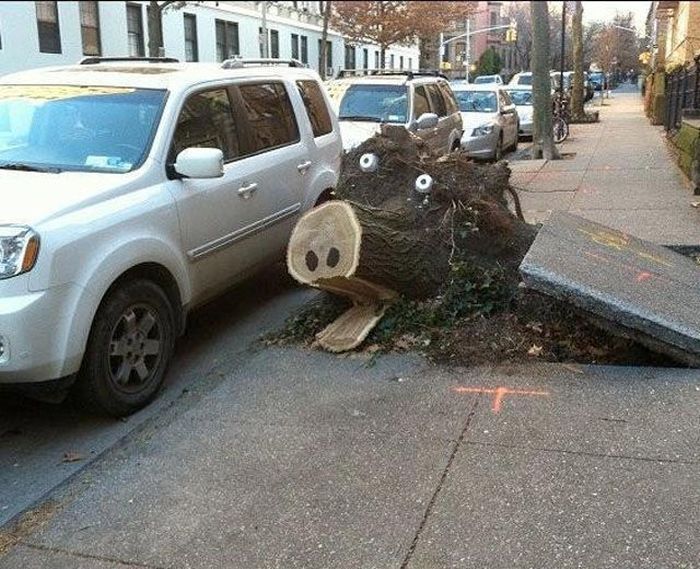 Felt like this was fitting | Scrolller