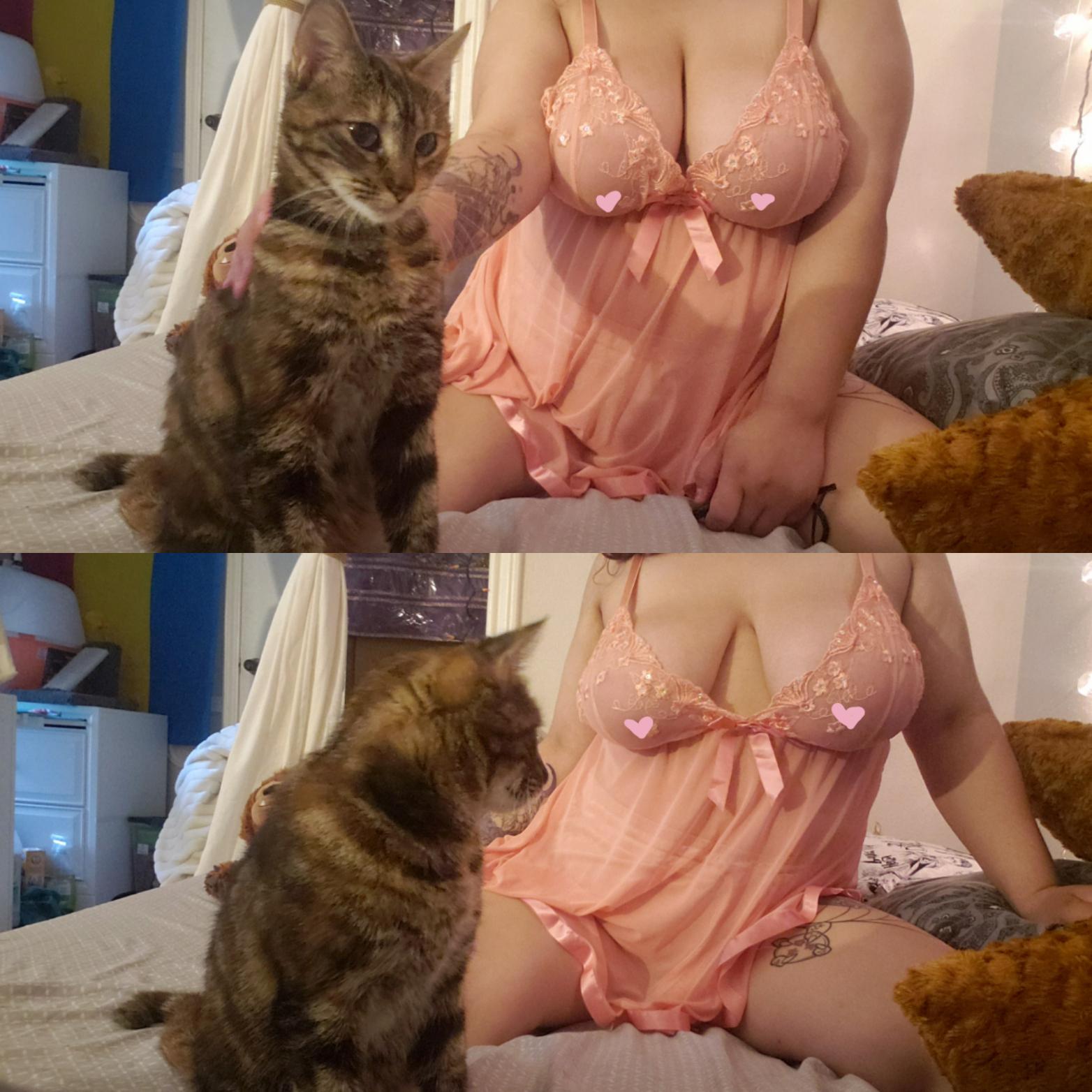 felt super cute today uwu but my kitty wouldn't let me take pictures!!! | Scrolller