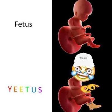 Fetus deletus | Scrolller