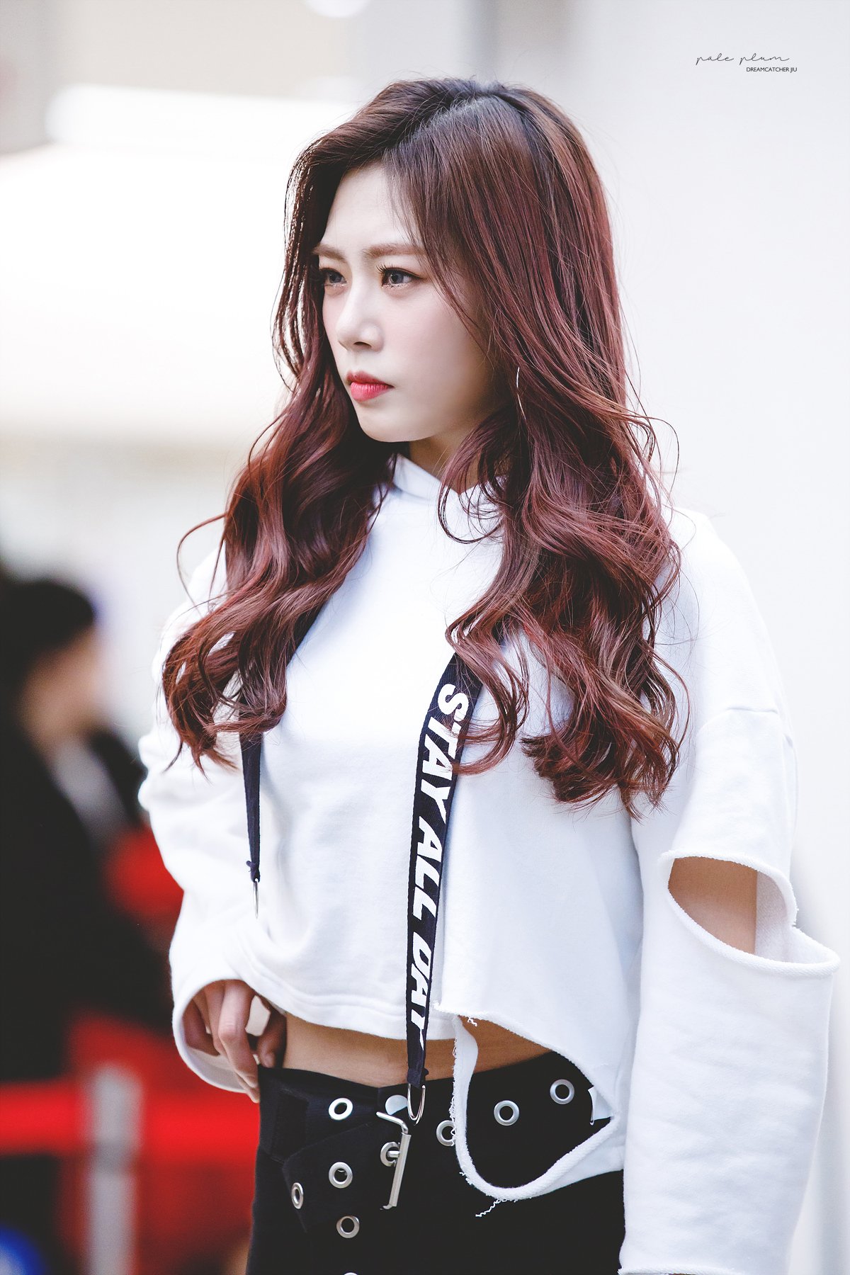 Fierce looking JiU | Scrolller