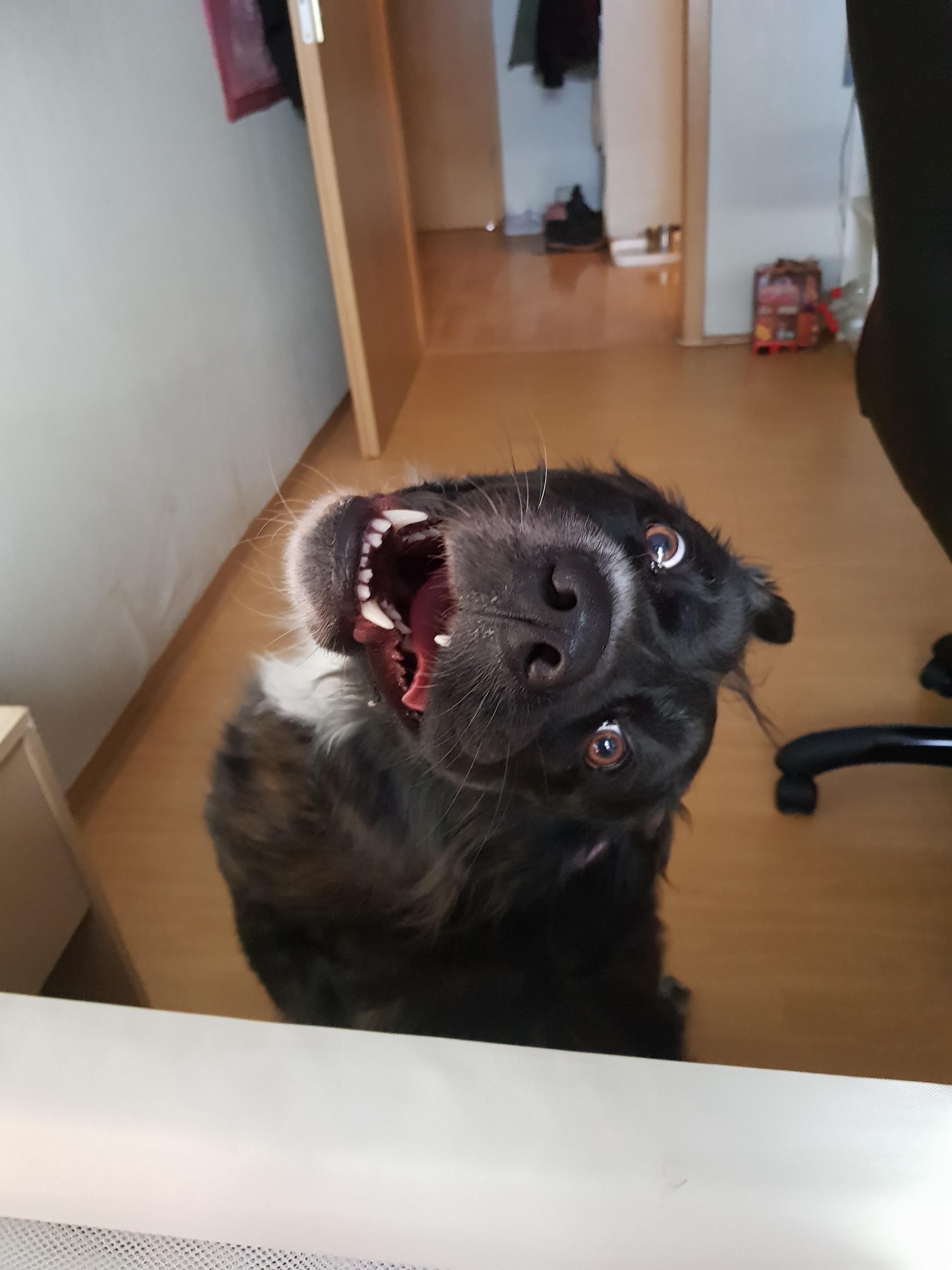 Finally a pic that matches her personality | Scrolller