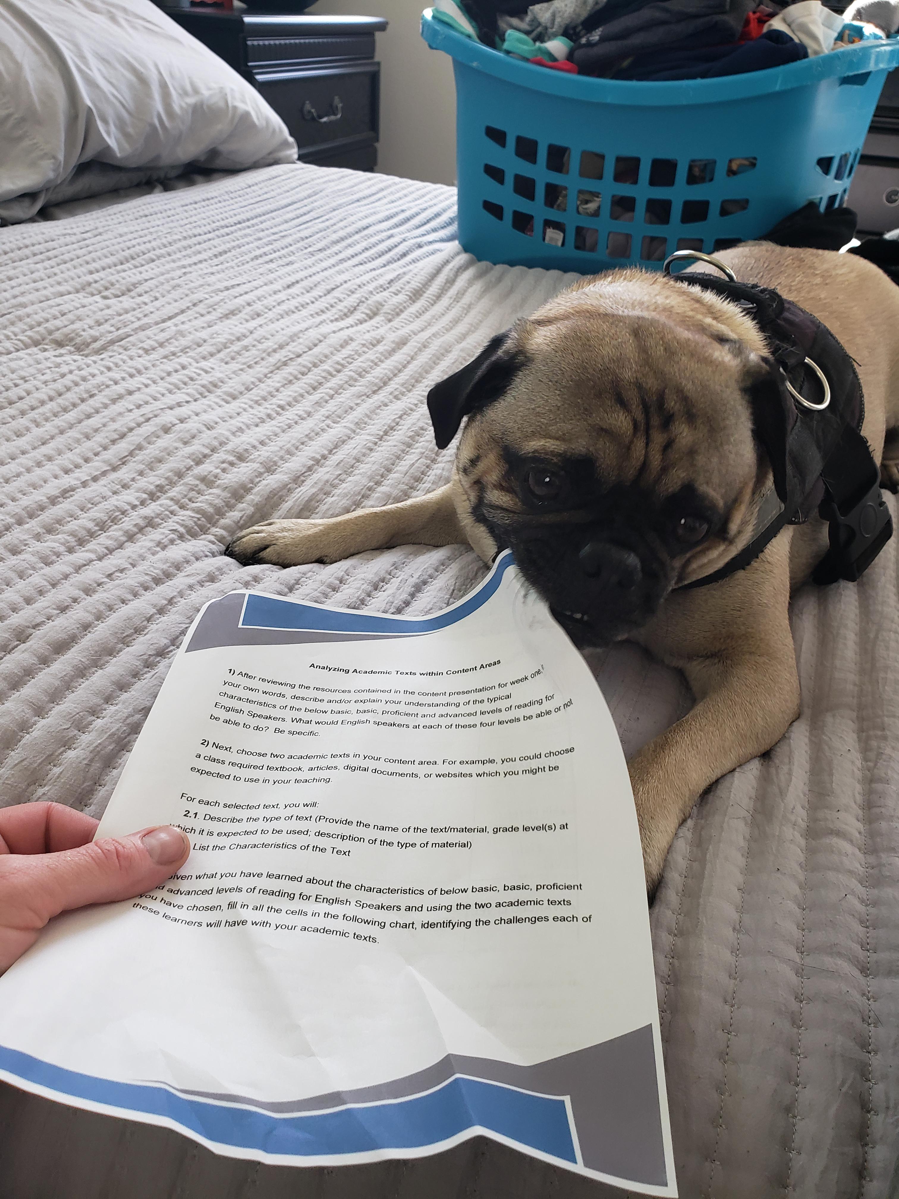 Finally Proof! | Scrolller