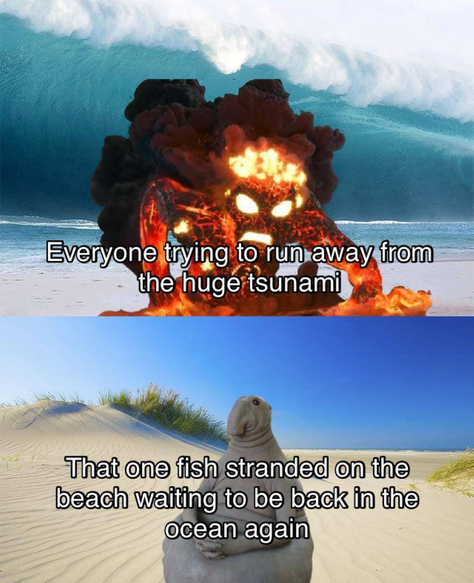 Finally returning home! | Scrolller