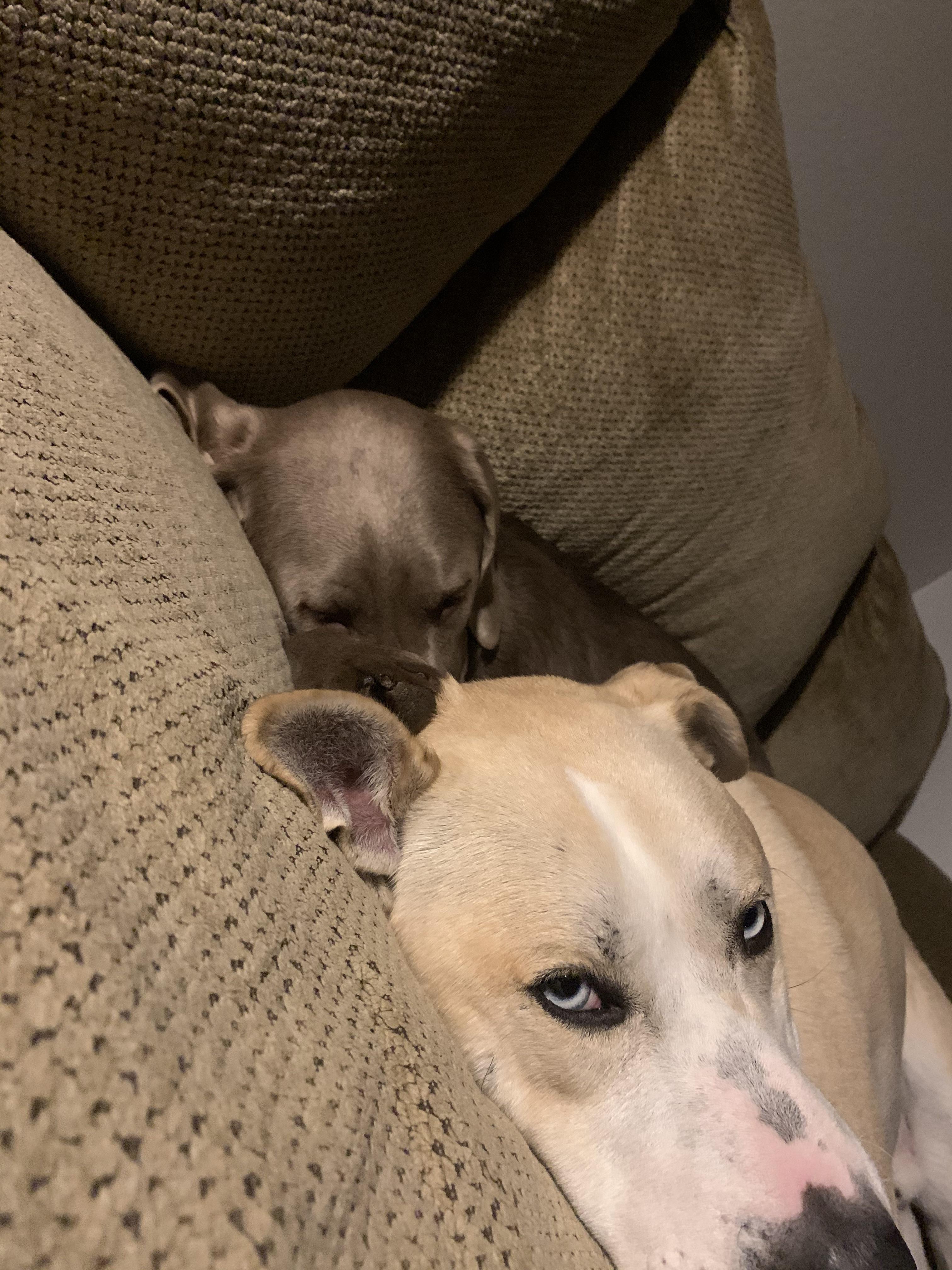 Finally sleeping next to each other! | Scrolller