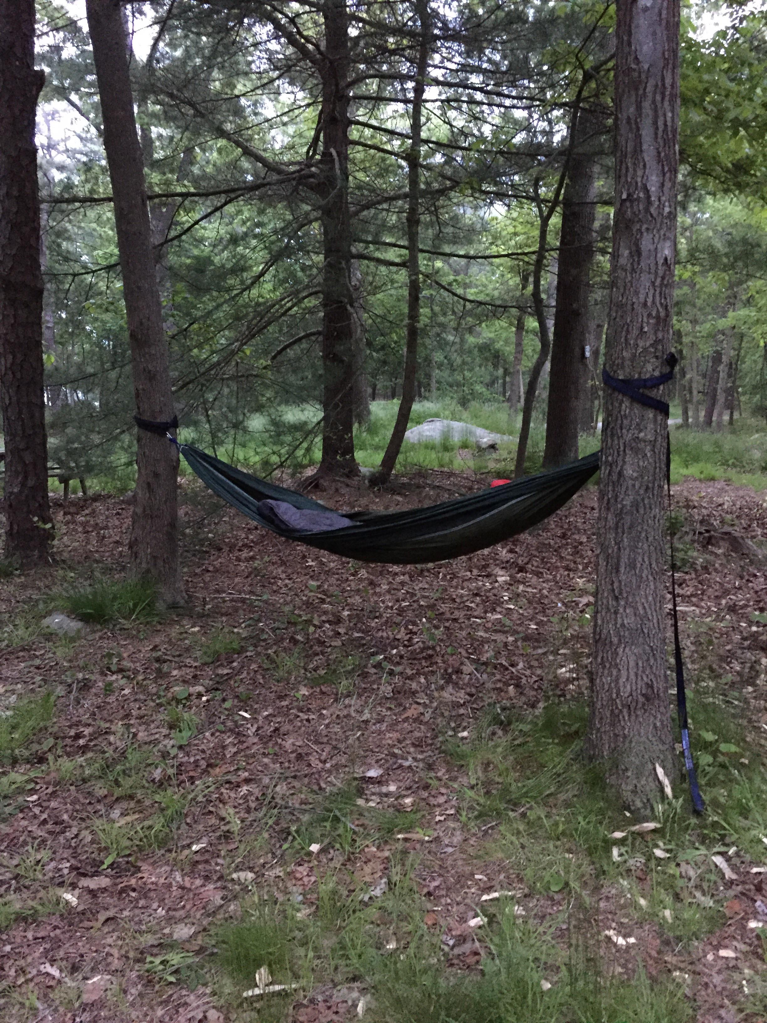 Finally took the hammock out for a spin! Thanks to the folks on this sub for all the tips ...