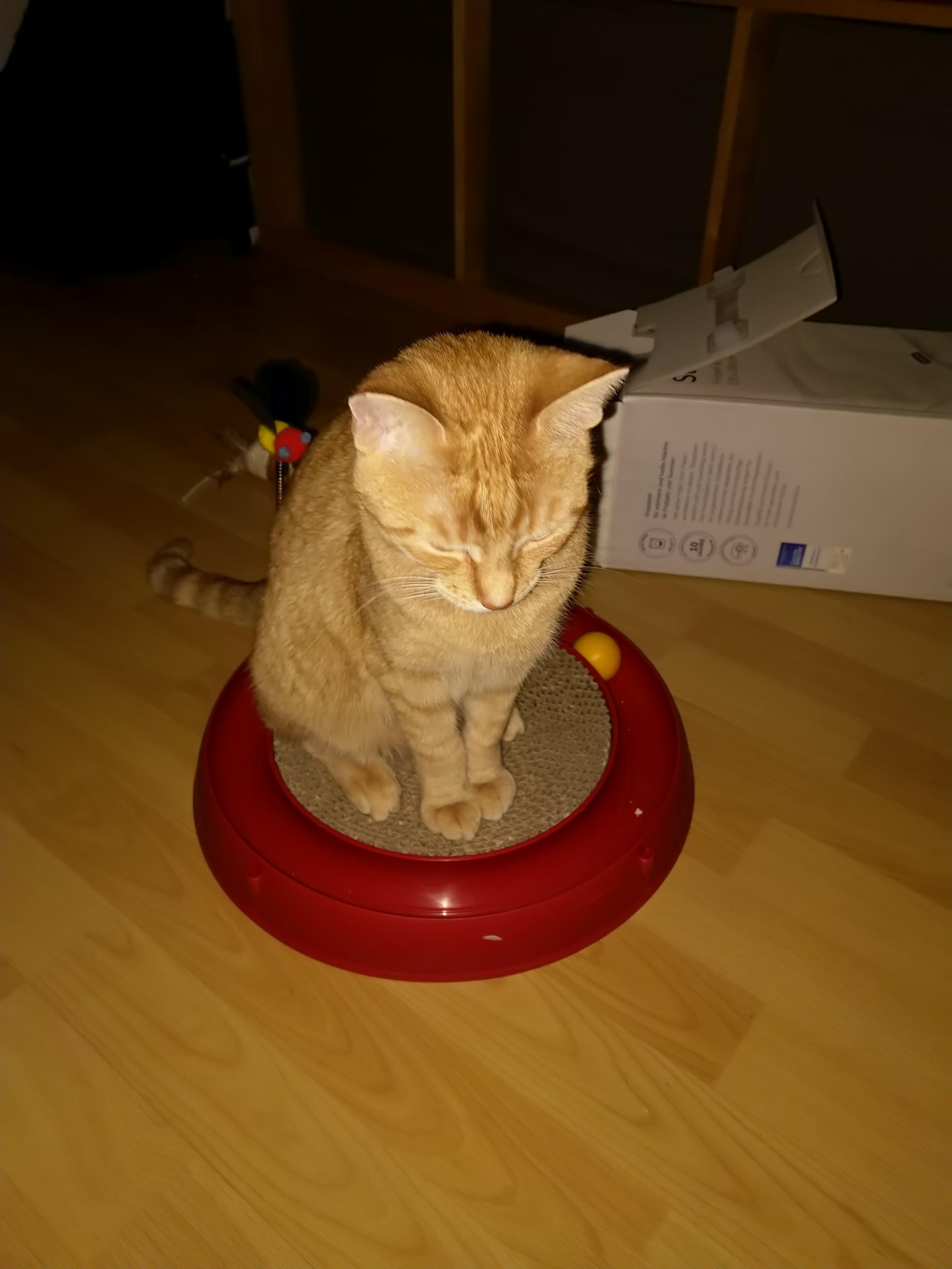 Finally trapped her! | Scrolller