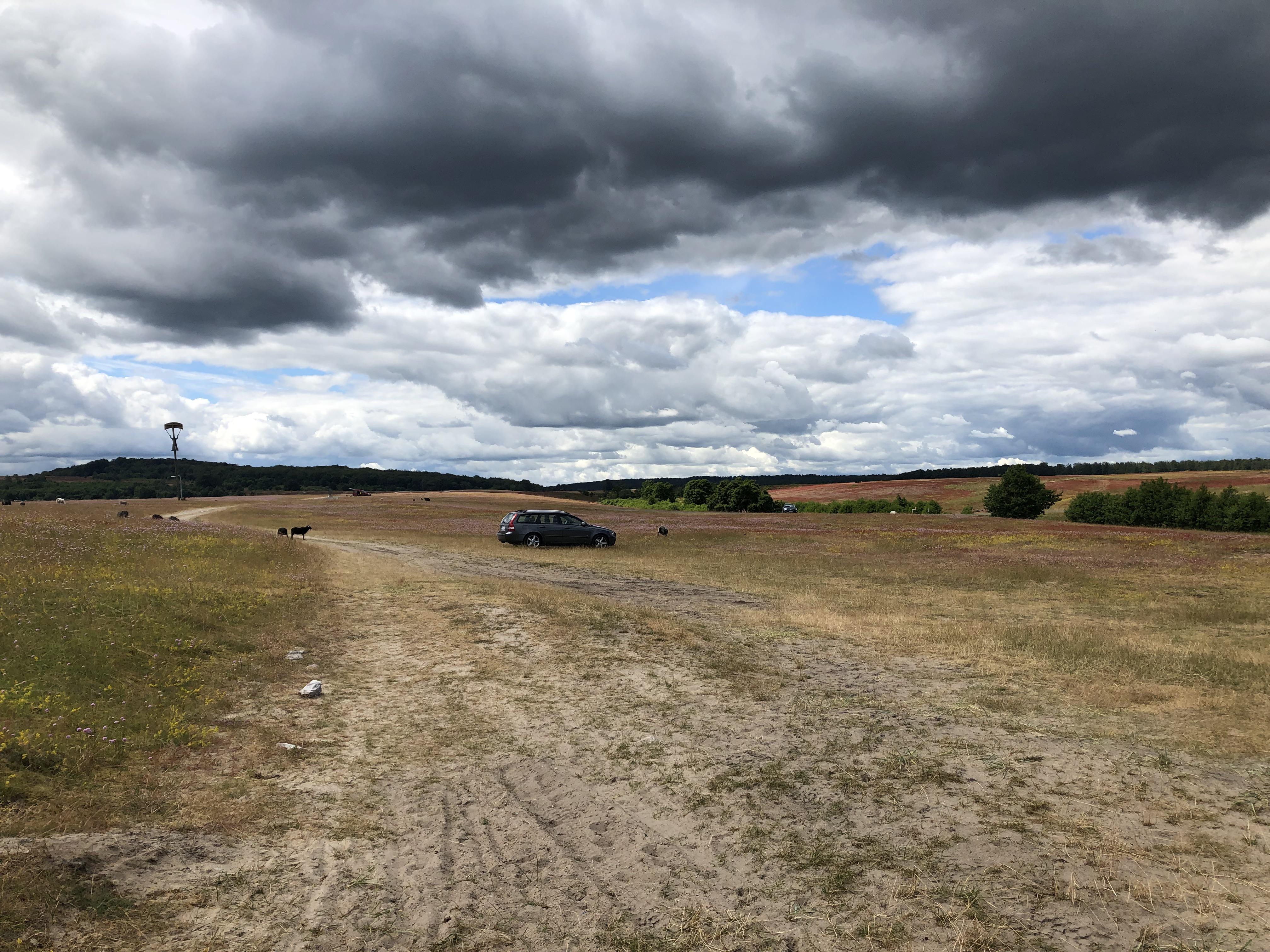 Find the wagon | Scrolller