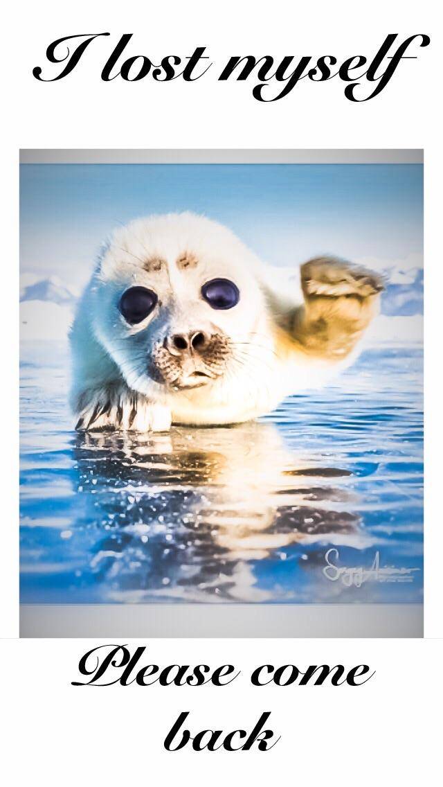 Find yourself | Scrolller