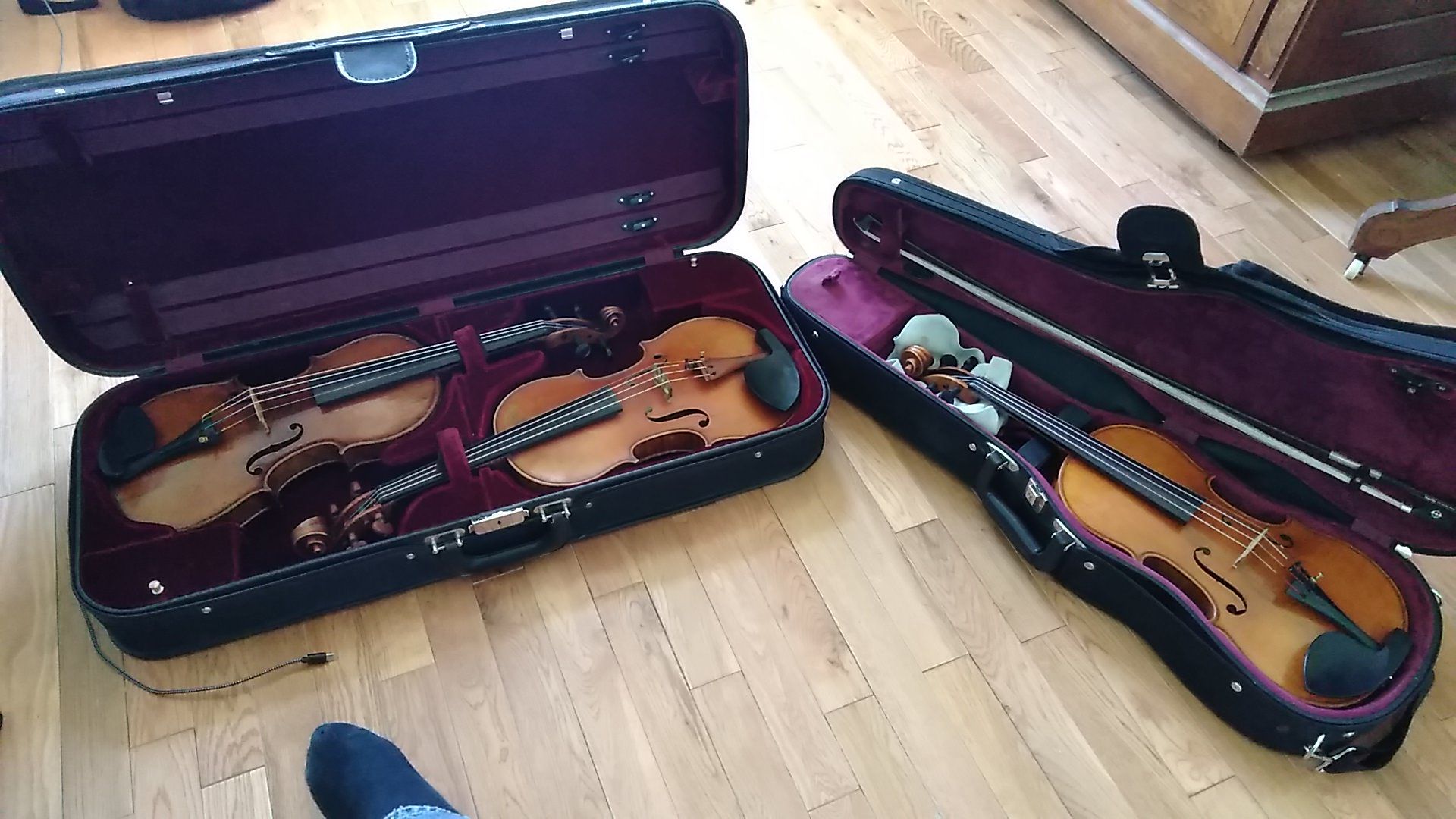 Finding a Soul Mate | Scrolller