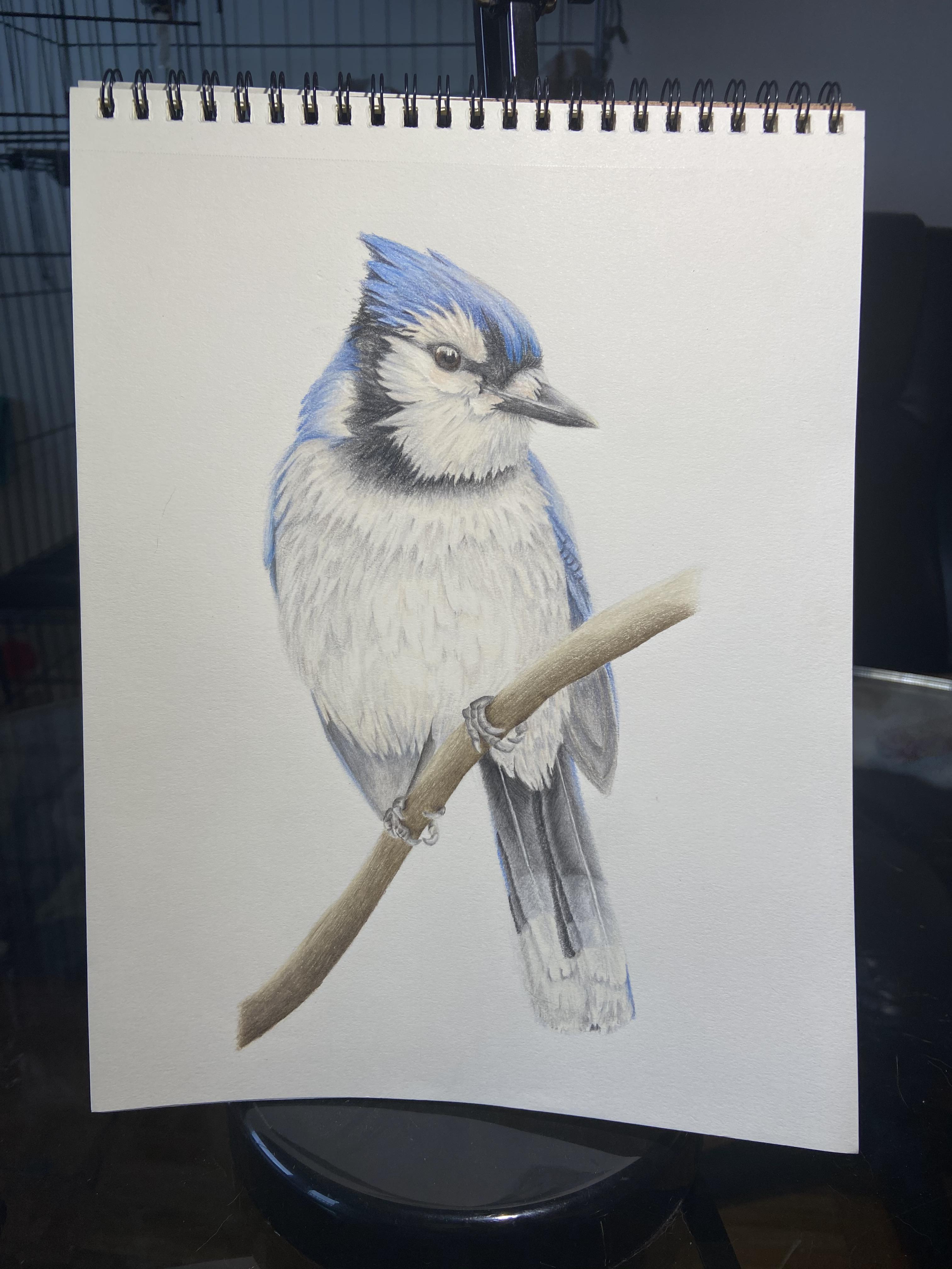 Finished piece! | Scrolller