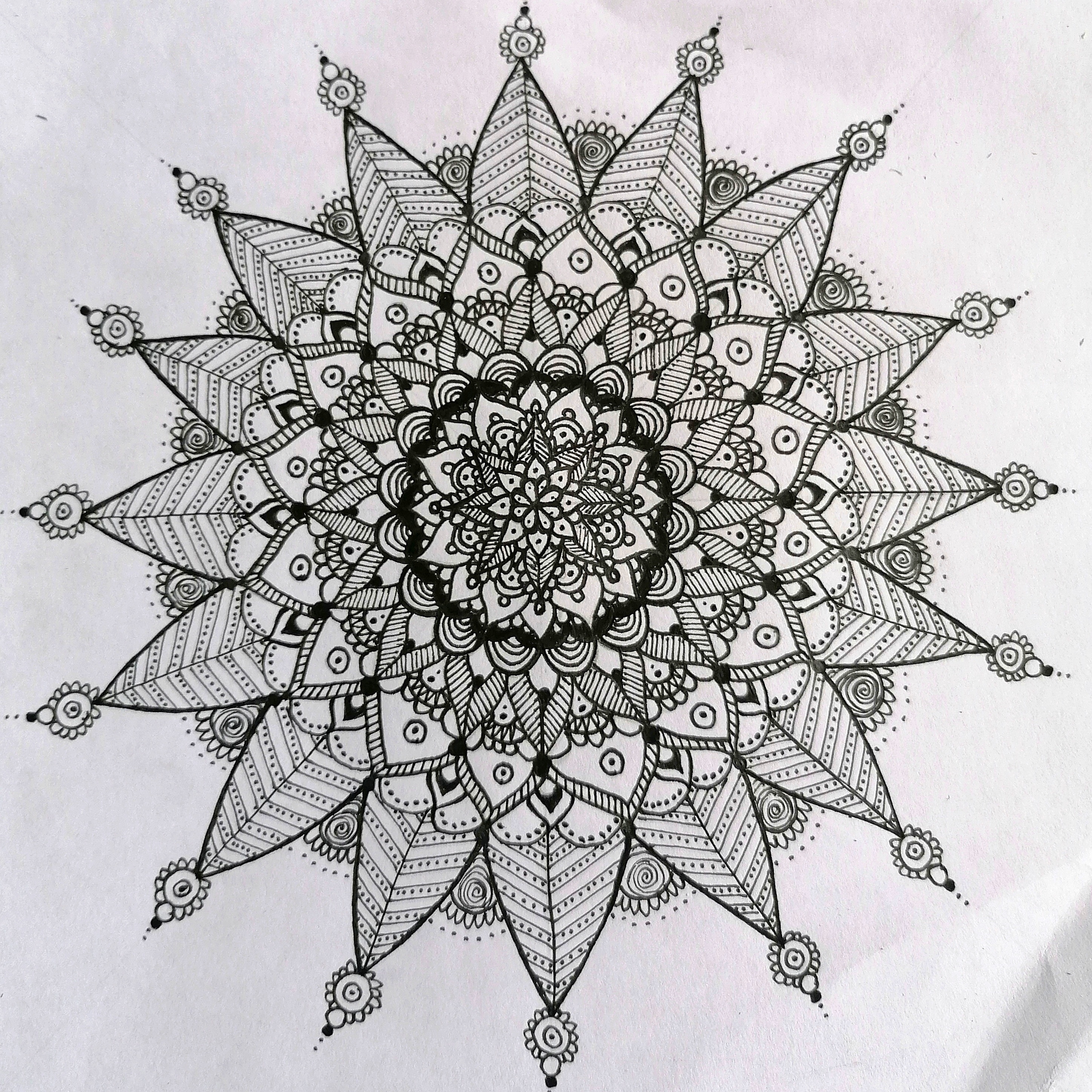 Finished this today. Hand drawn by pen | Scrolller