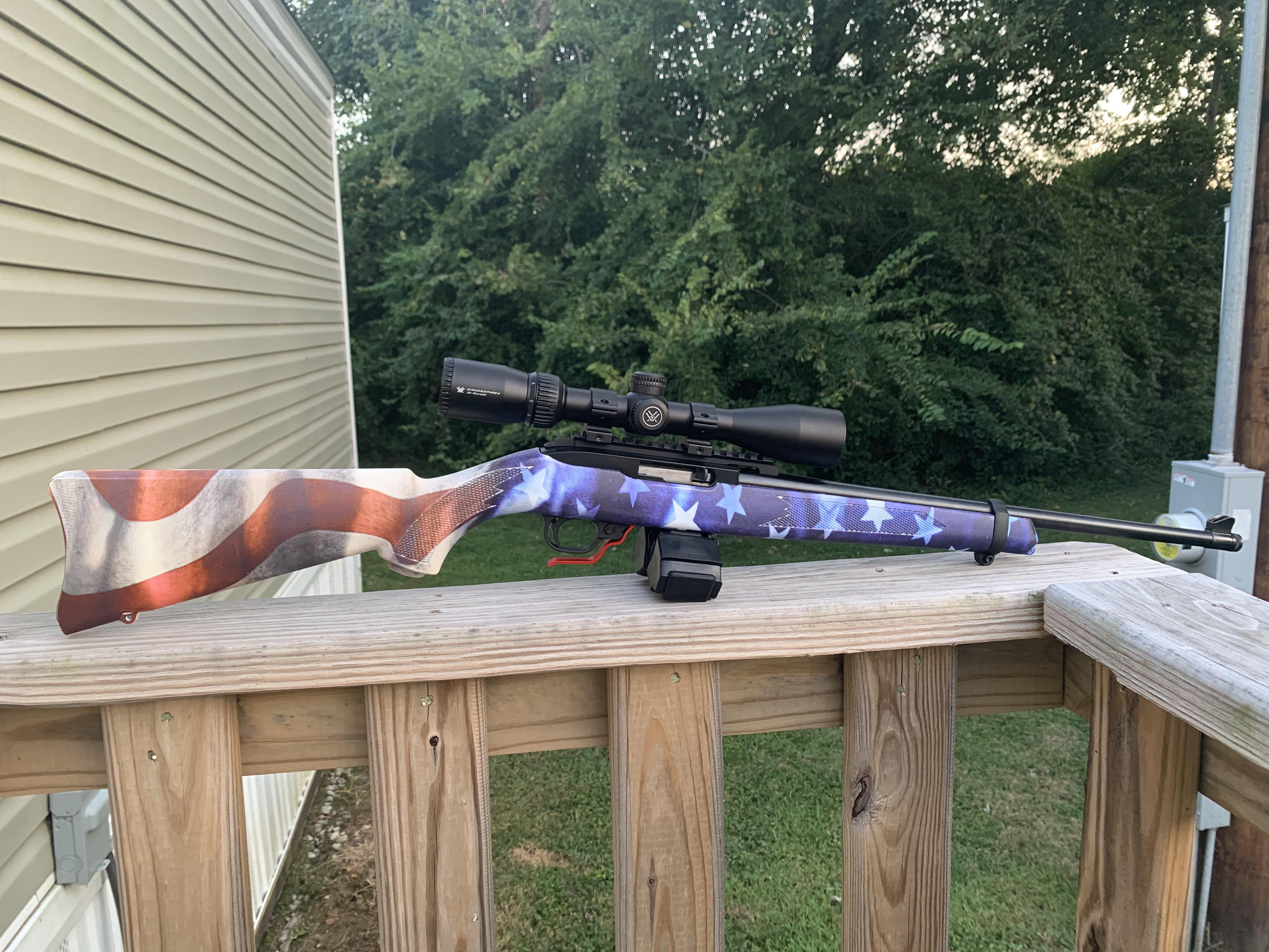 First 10/22, Ruger Vote 2020 | Scrolller