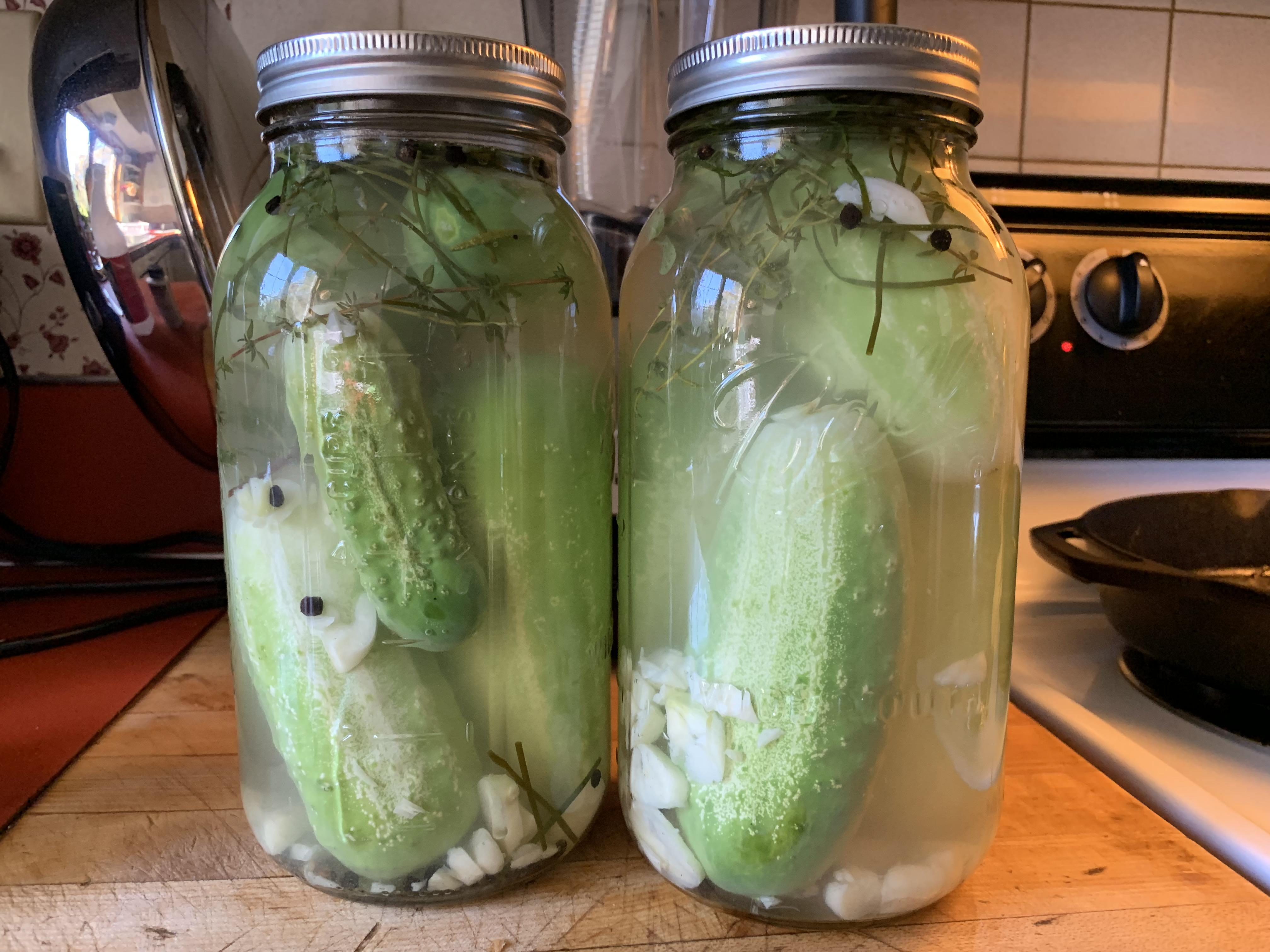 First batch of pickles from the garden started today! Planted them really late but they are ...