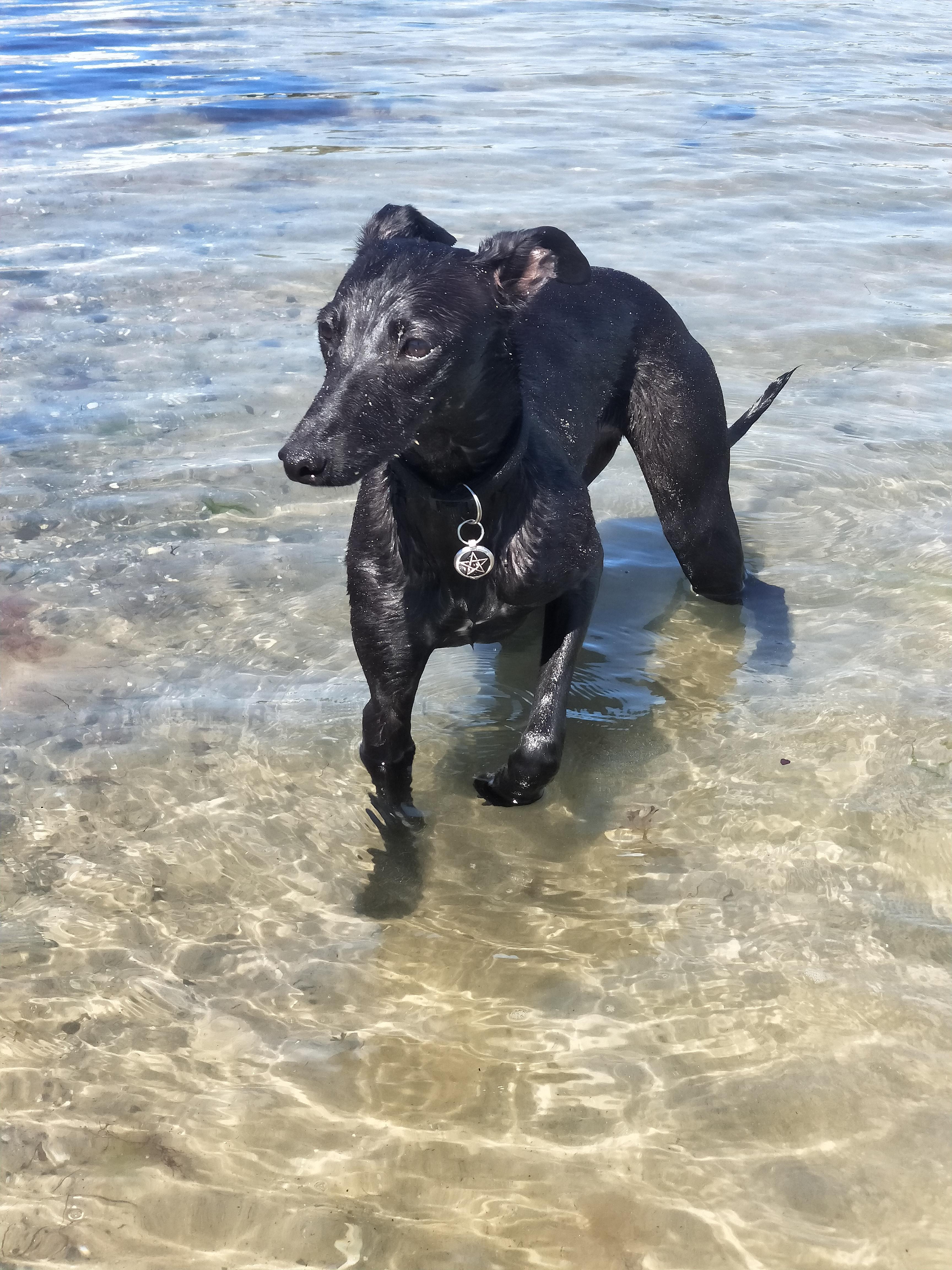 First beach trip. | Scrolller