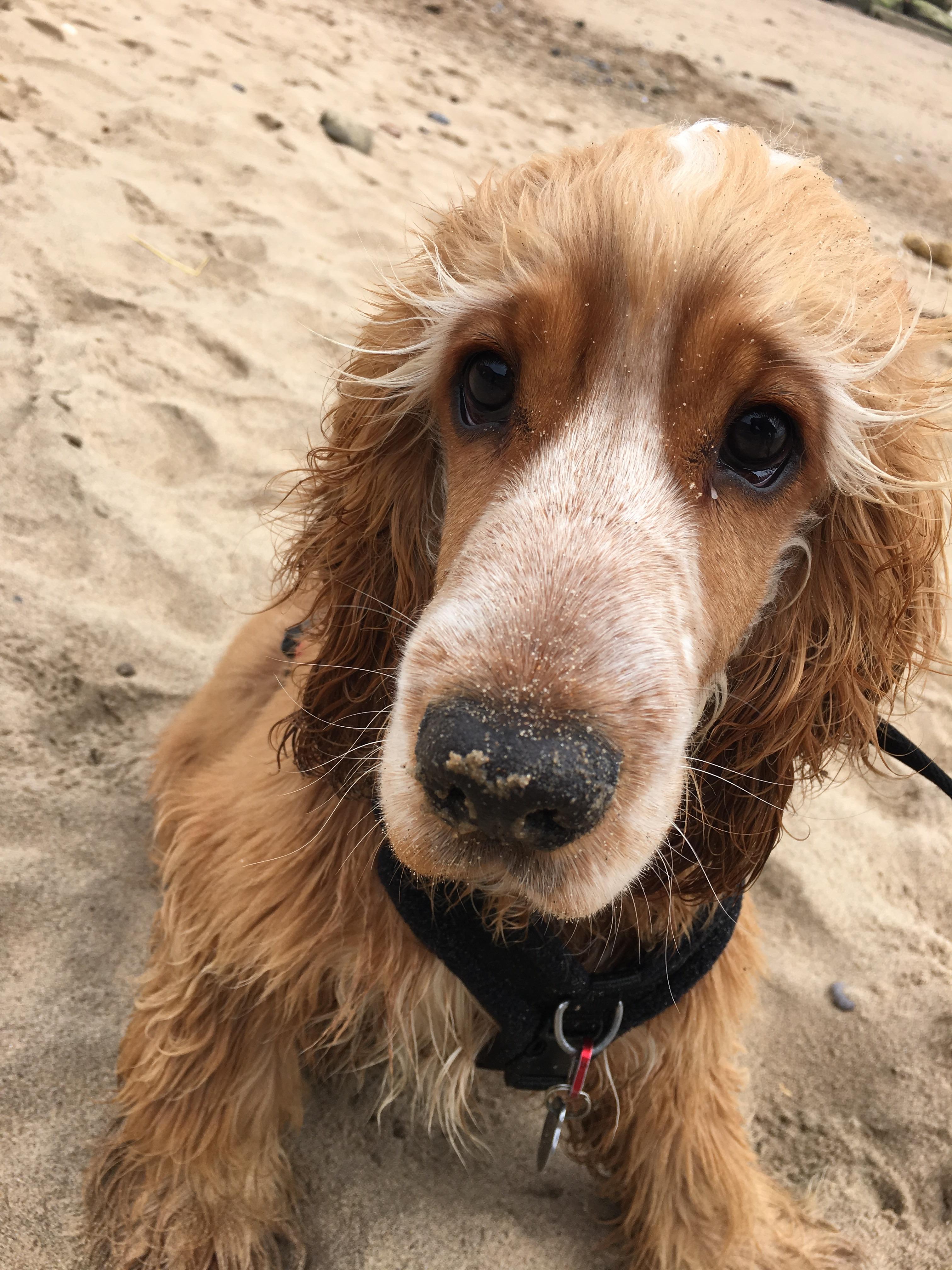 first beach trip! | Scrolller