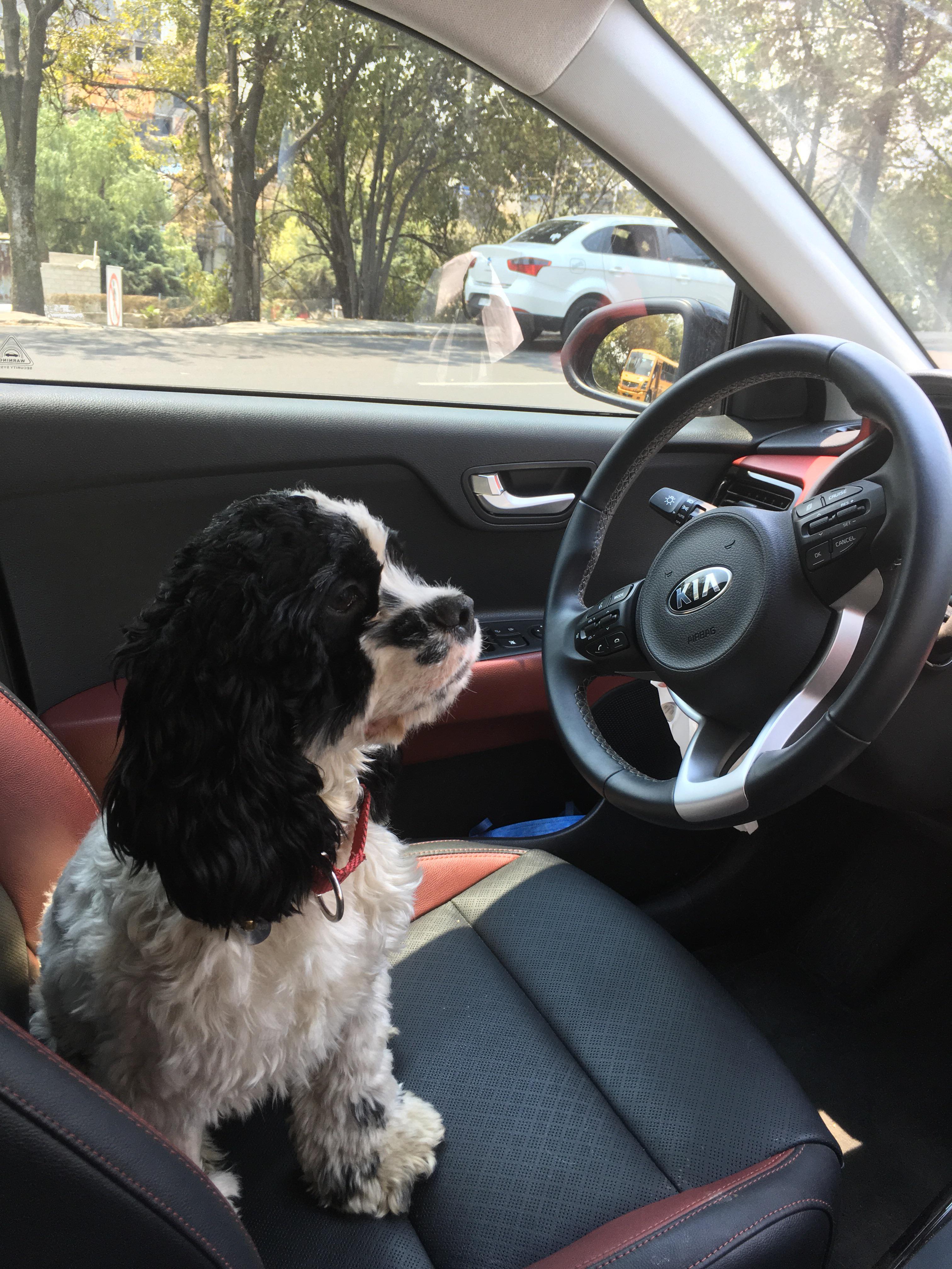 First driving lesson. | Scrolller