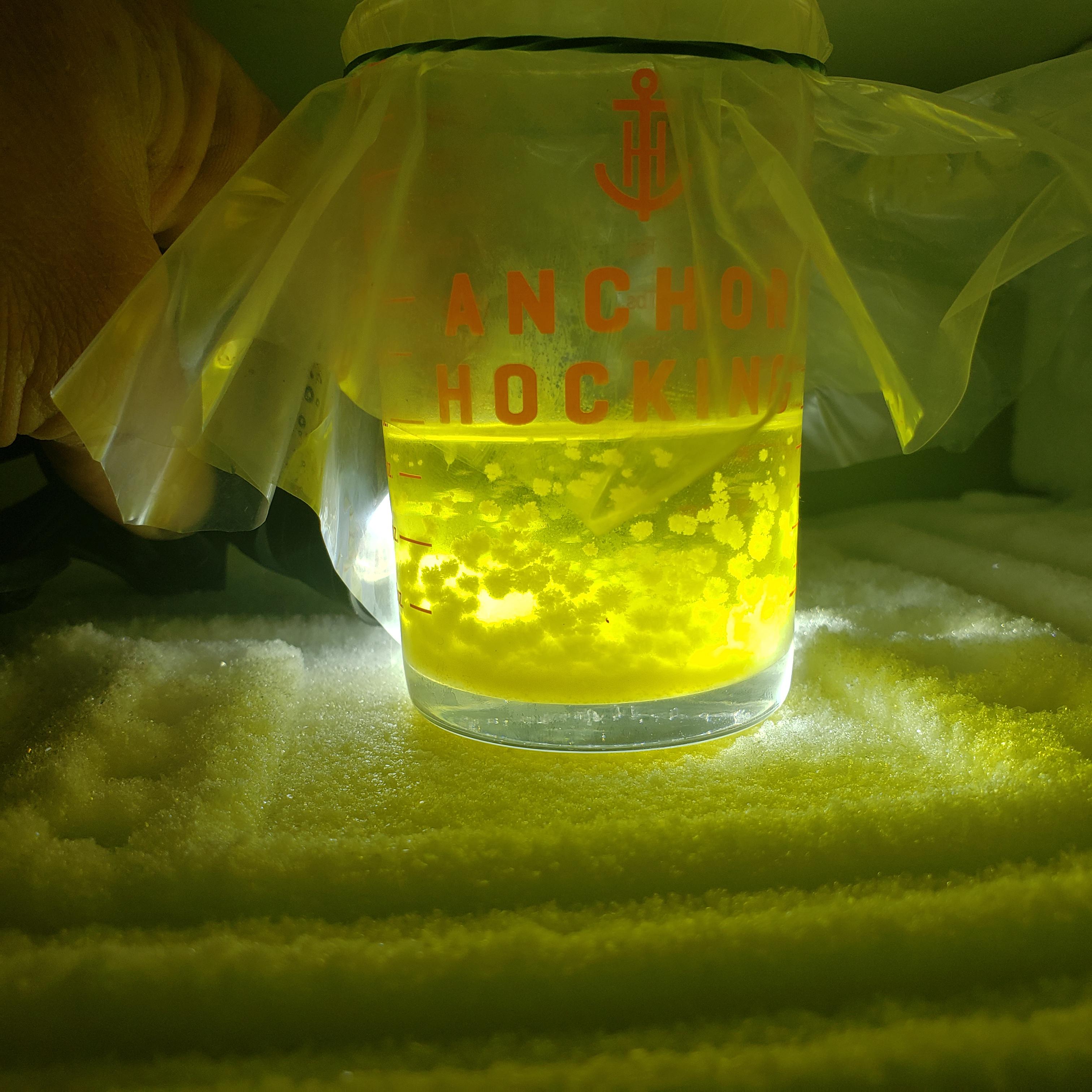 First ever extraction. Wish me luck | Scrolller