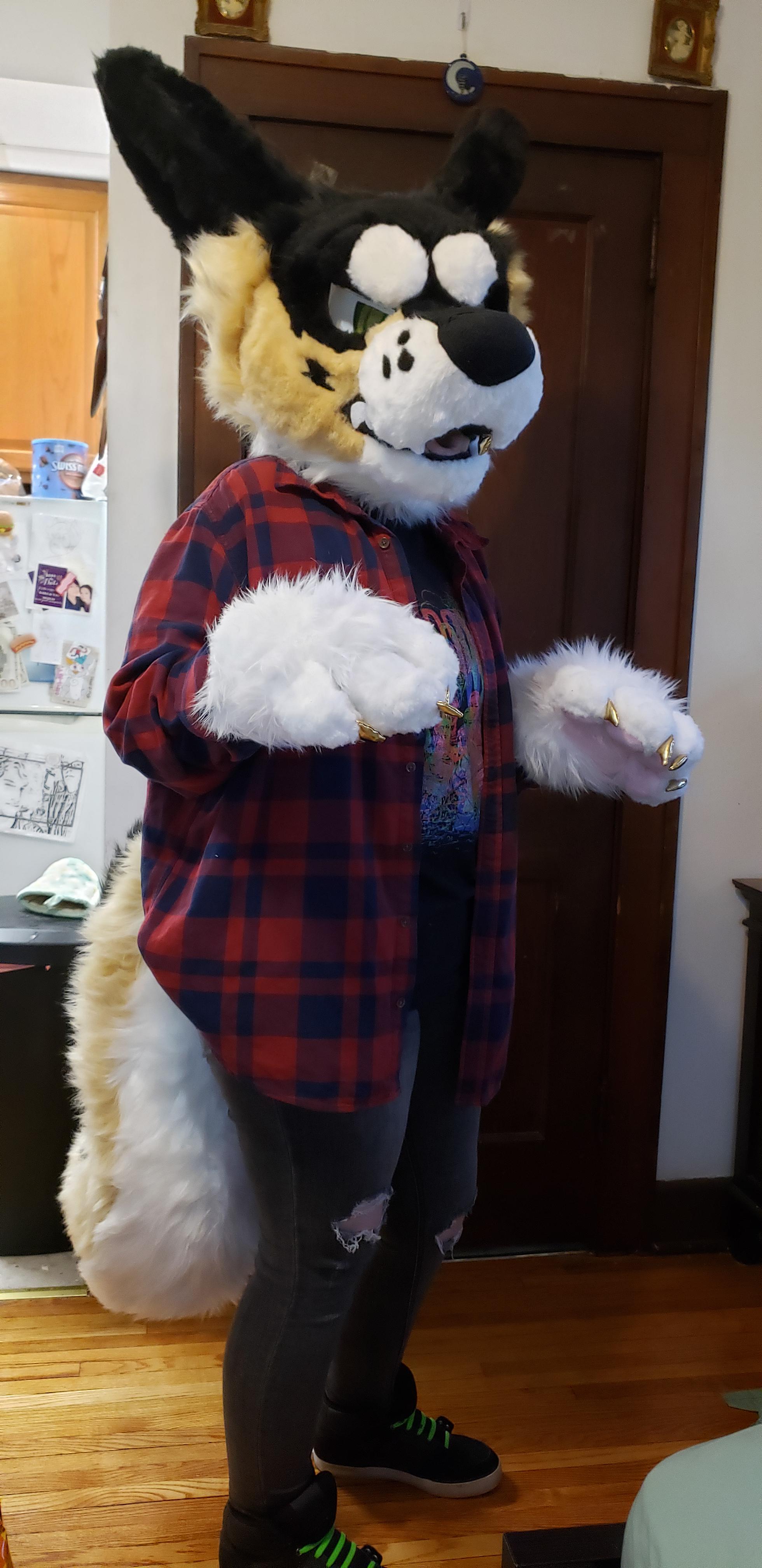 First ever #FursuitFriday for this grump! | Scrolller