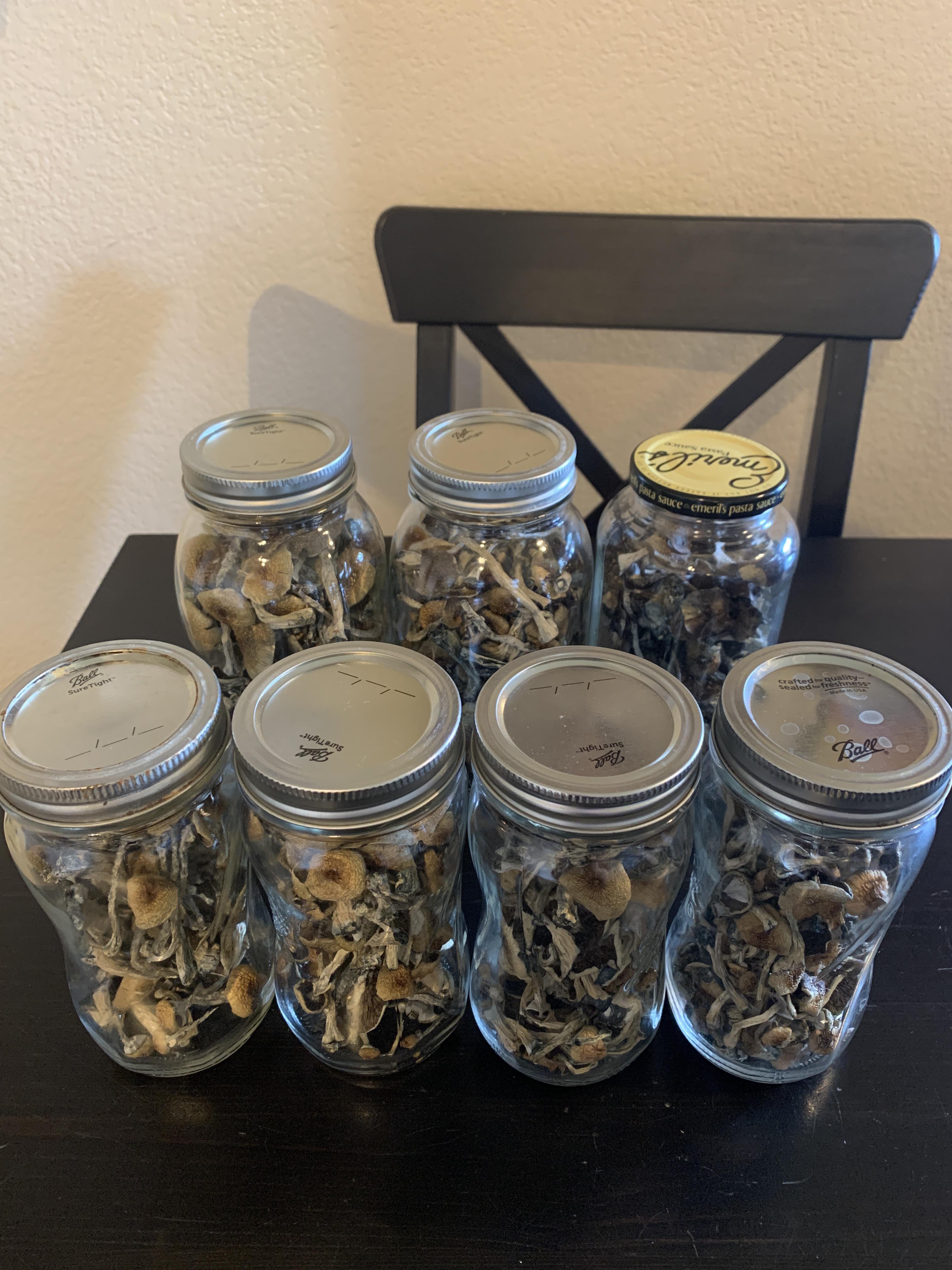 First flush complete. 180g from 16 UB bags! | Scrolller