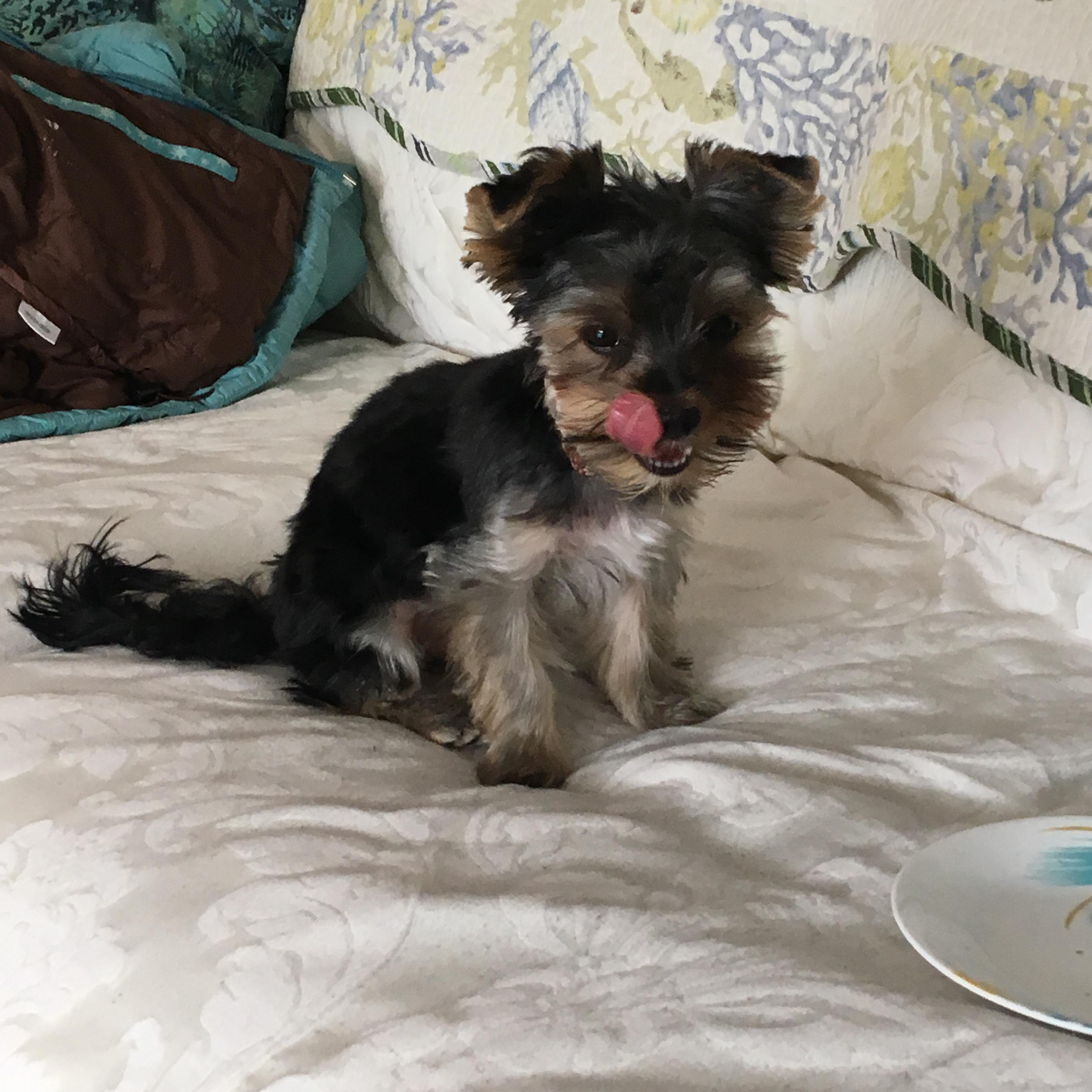 First Grooming | Scrolller