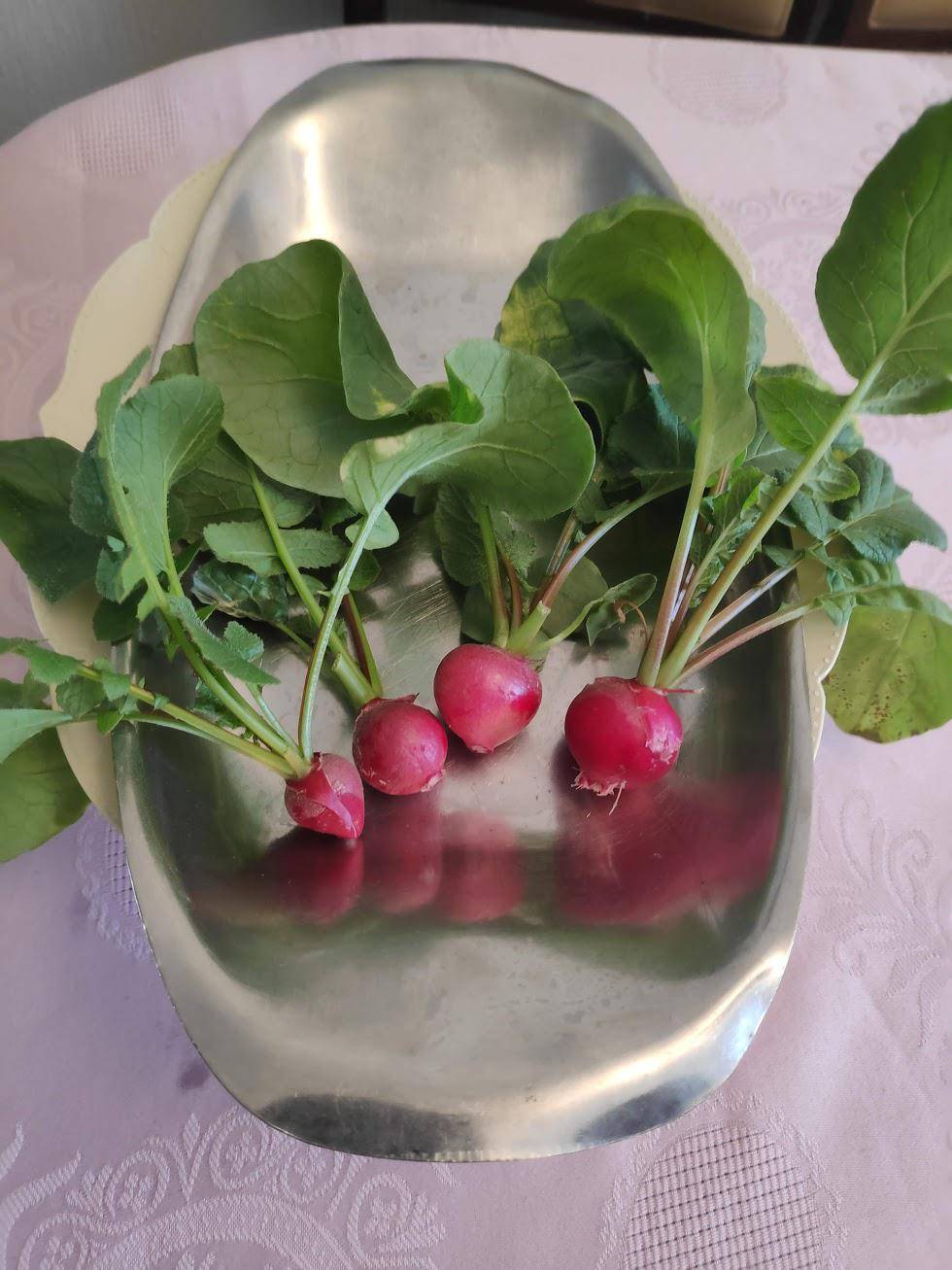 First harvest! :D | Scrolller