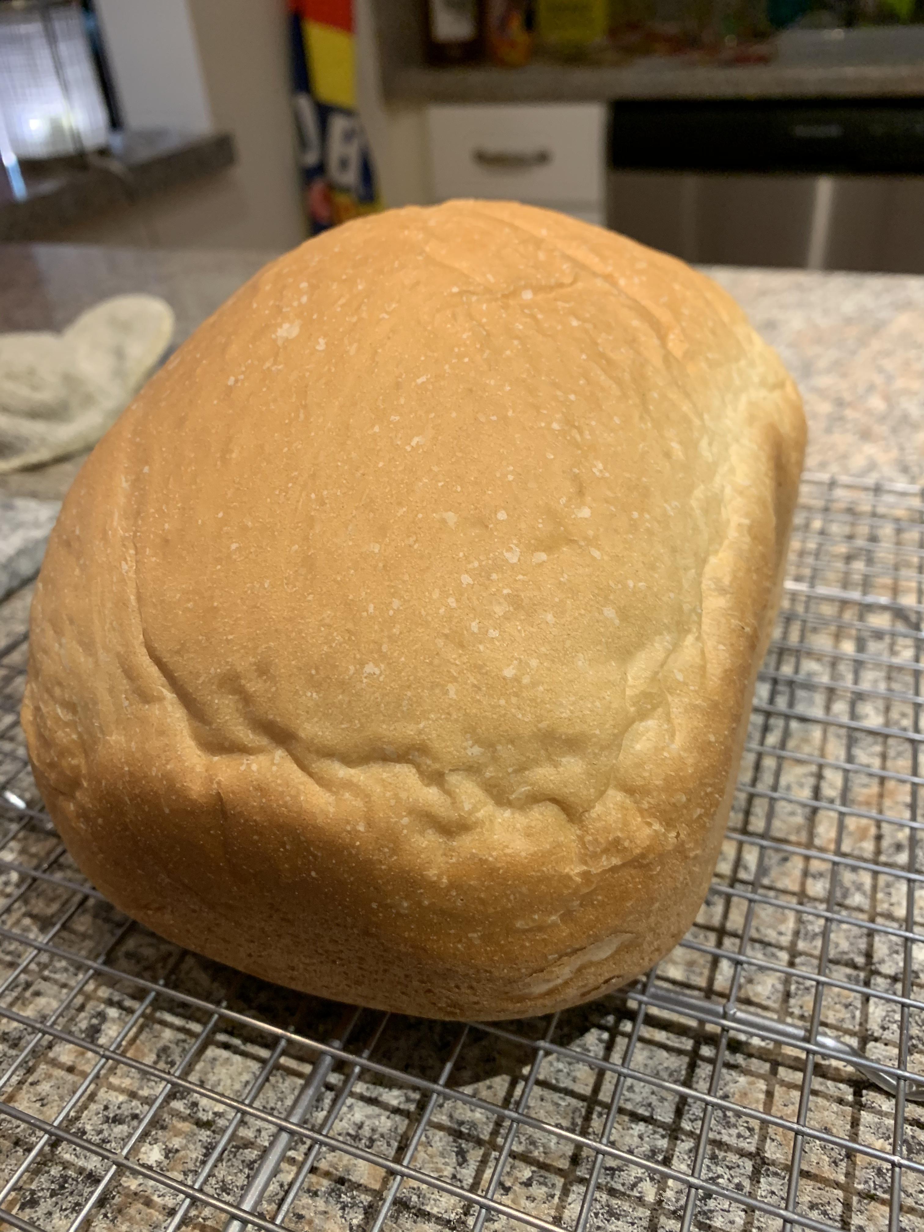 First loaf! Turned out great! Made some Grilled Cheese with it and it was the best Grilled ...