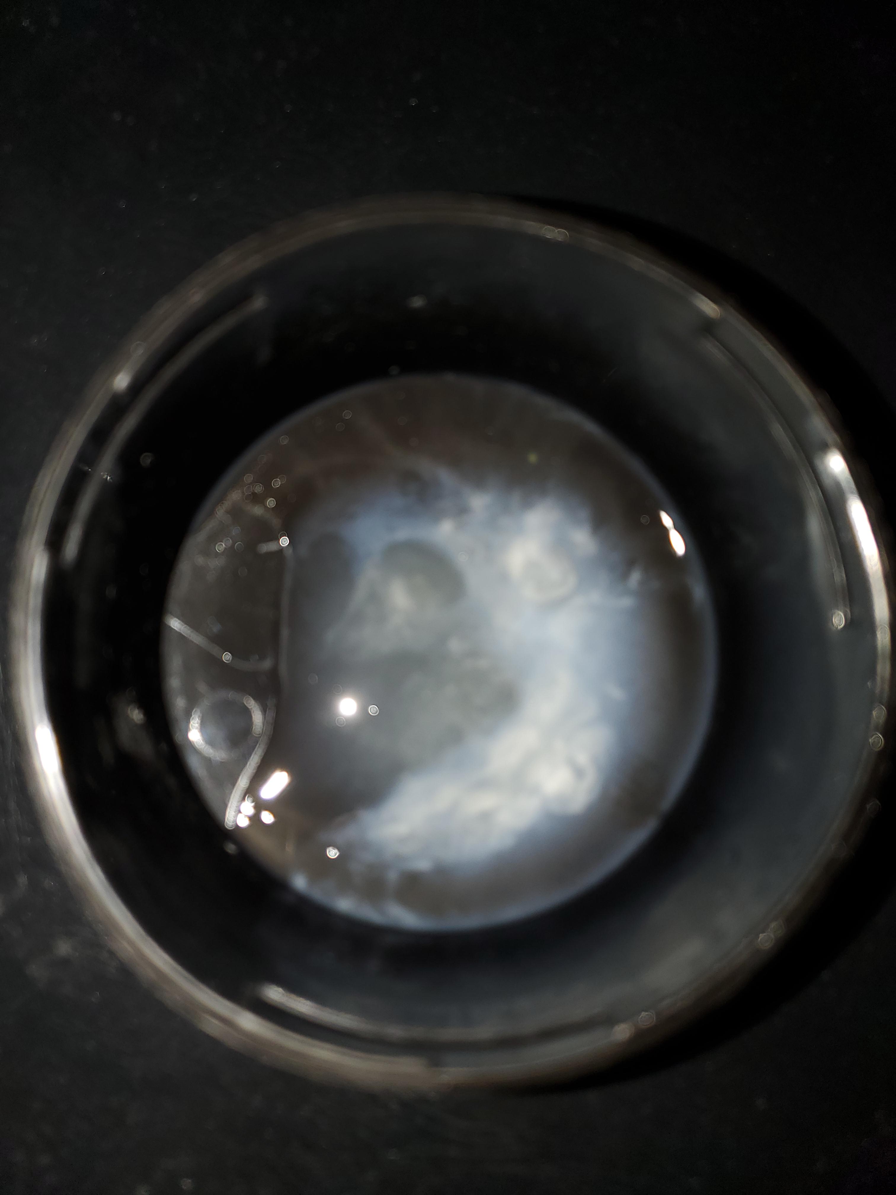 First nut done, onto number 2 | Scrolller