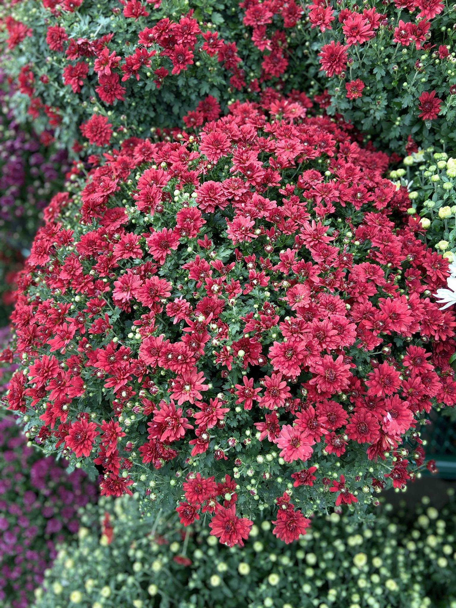 First photo on my 11. | Scrolller