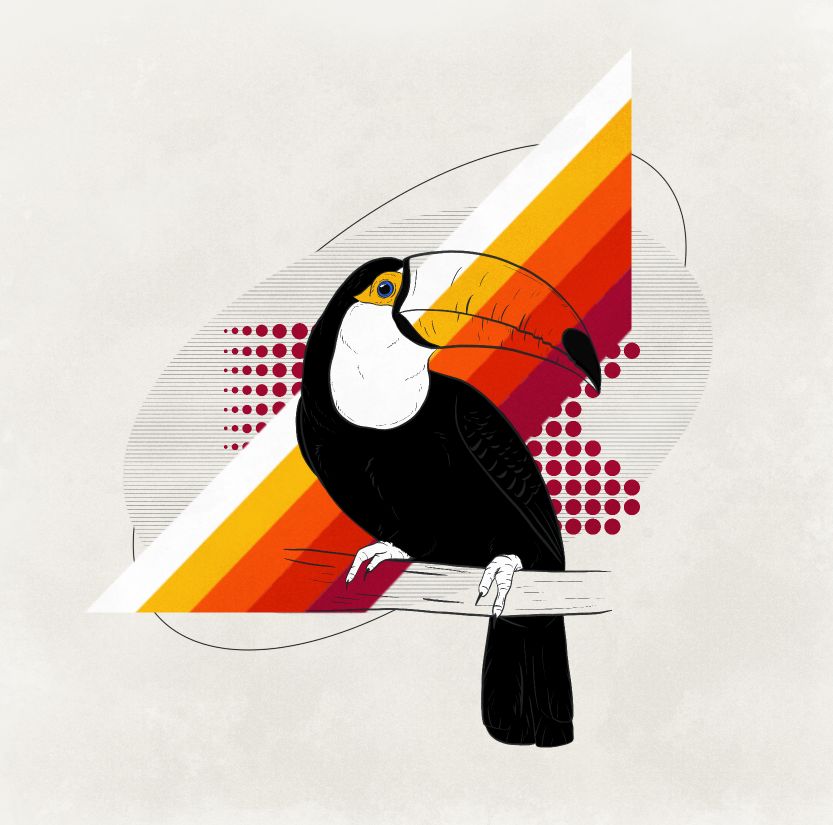 First Procreate illustration, reimagined from a retro blank VHS cover | Scrolller