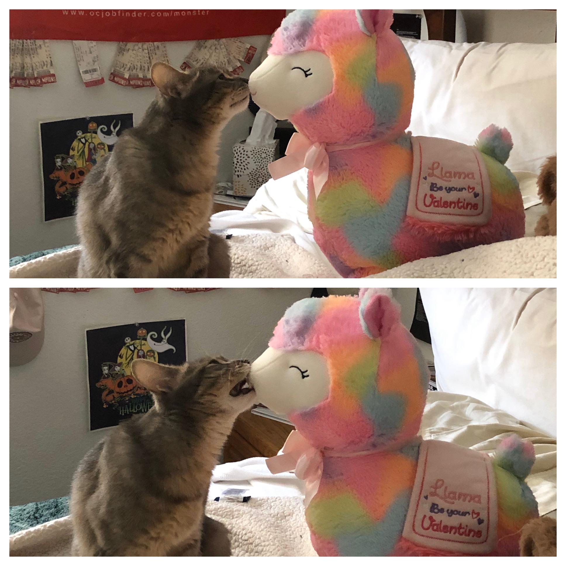 First she’s sweet, THEN she’s sour!! | Scrolller