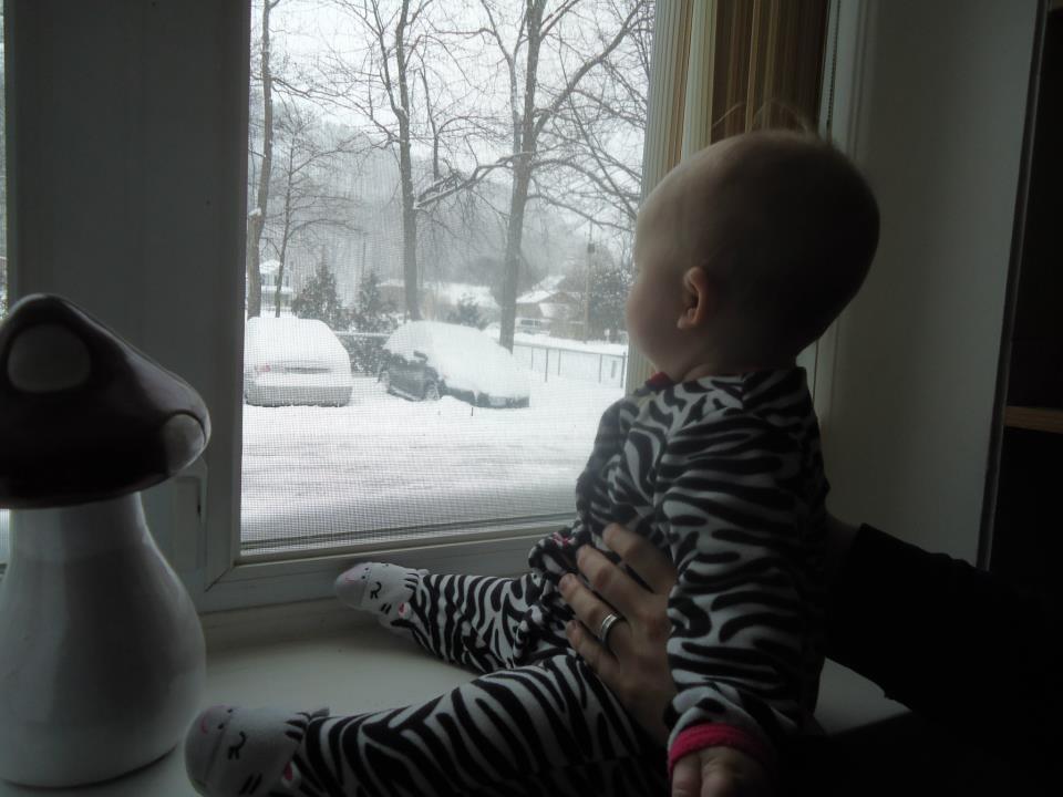 First Snowfall | Scrolller