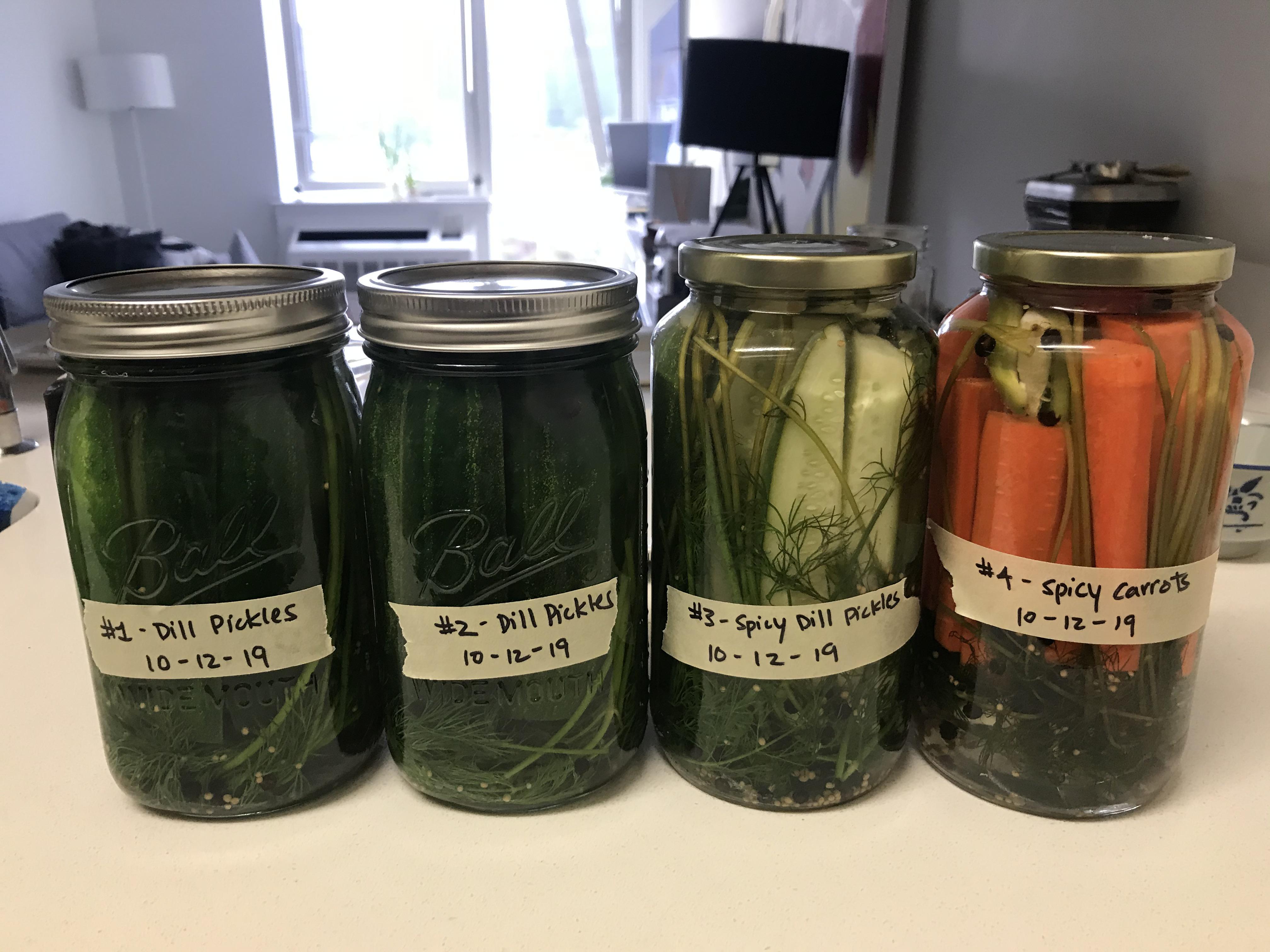 First time ever pickling. Trying out basic brine with cucumbers and carrots! | Scrolller