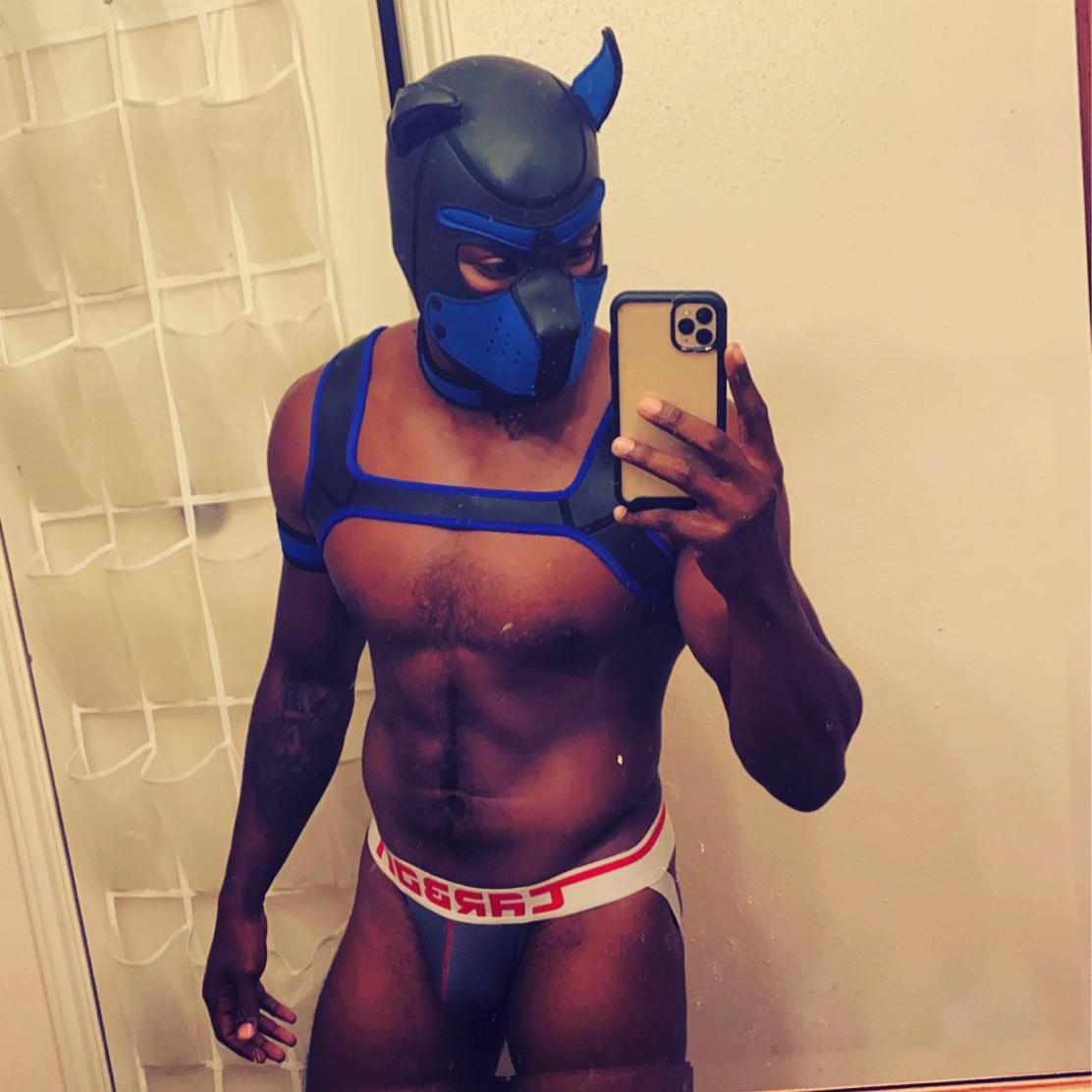 First time posting, I’m pup Grizz! Hello! | Scrolller