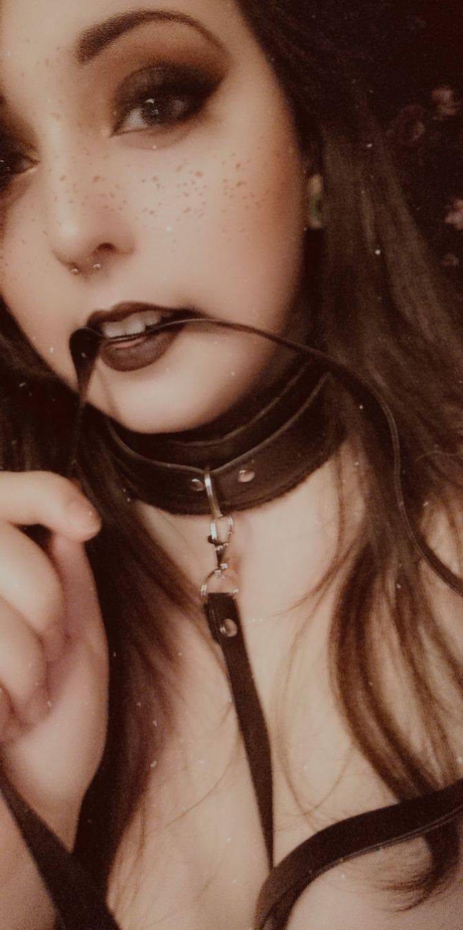 First time posting on reddit, if you're one of the lucky ones sorting by new, lucky you ...