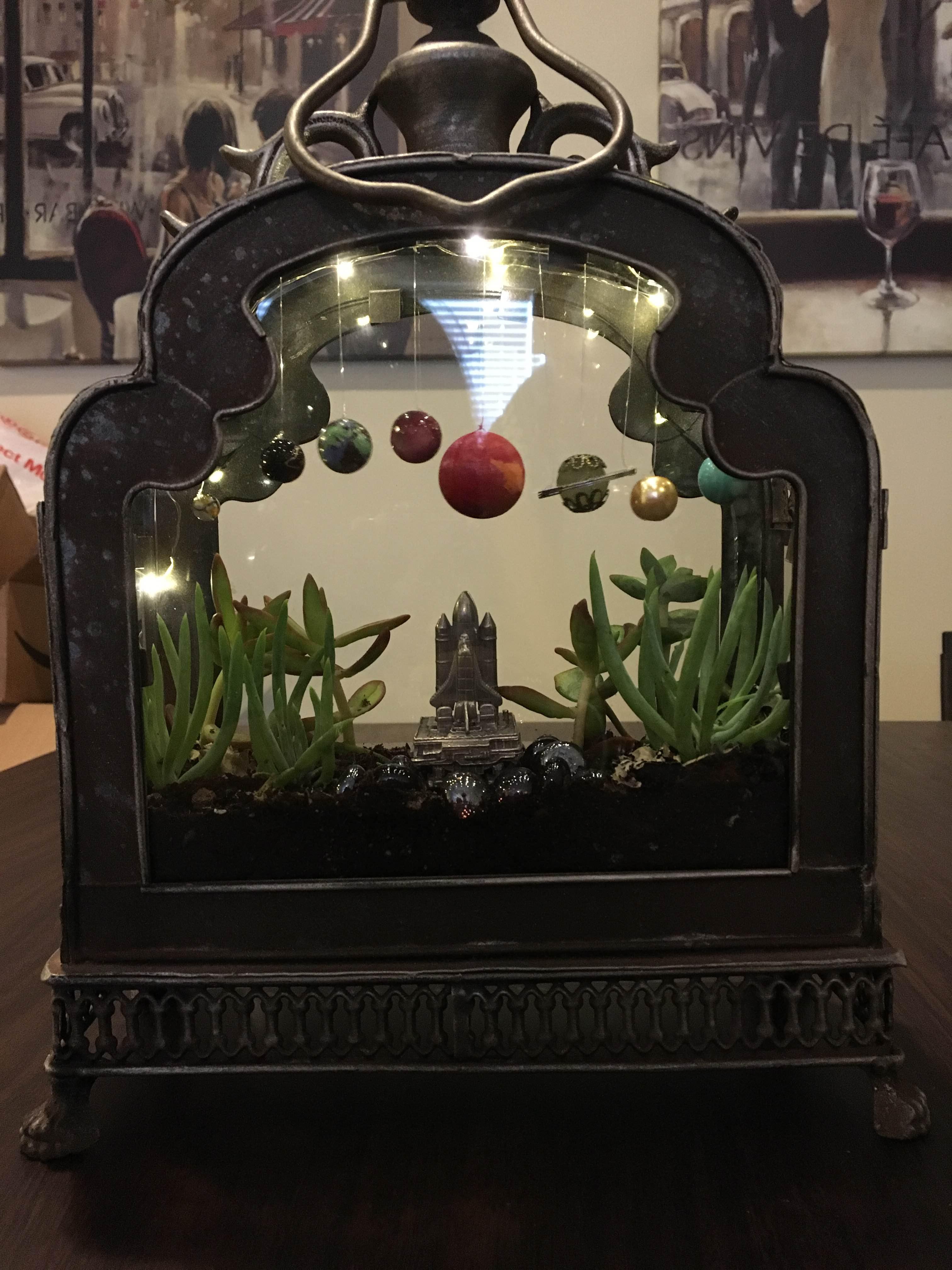 First time terrarium! Space theme! | Scrolller