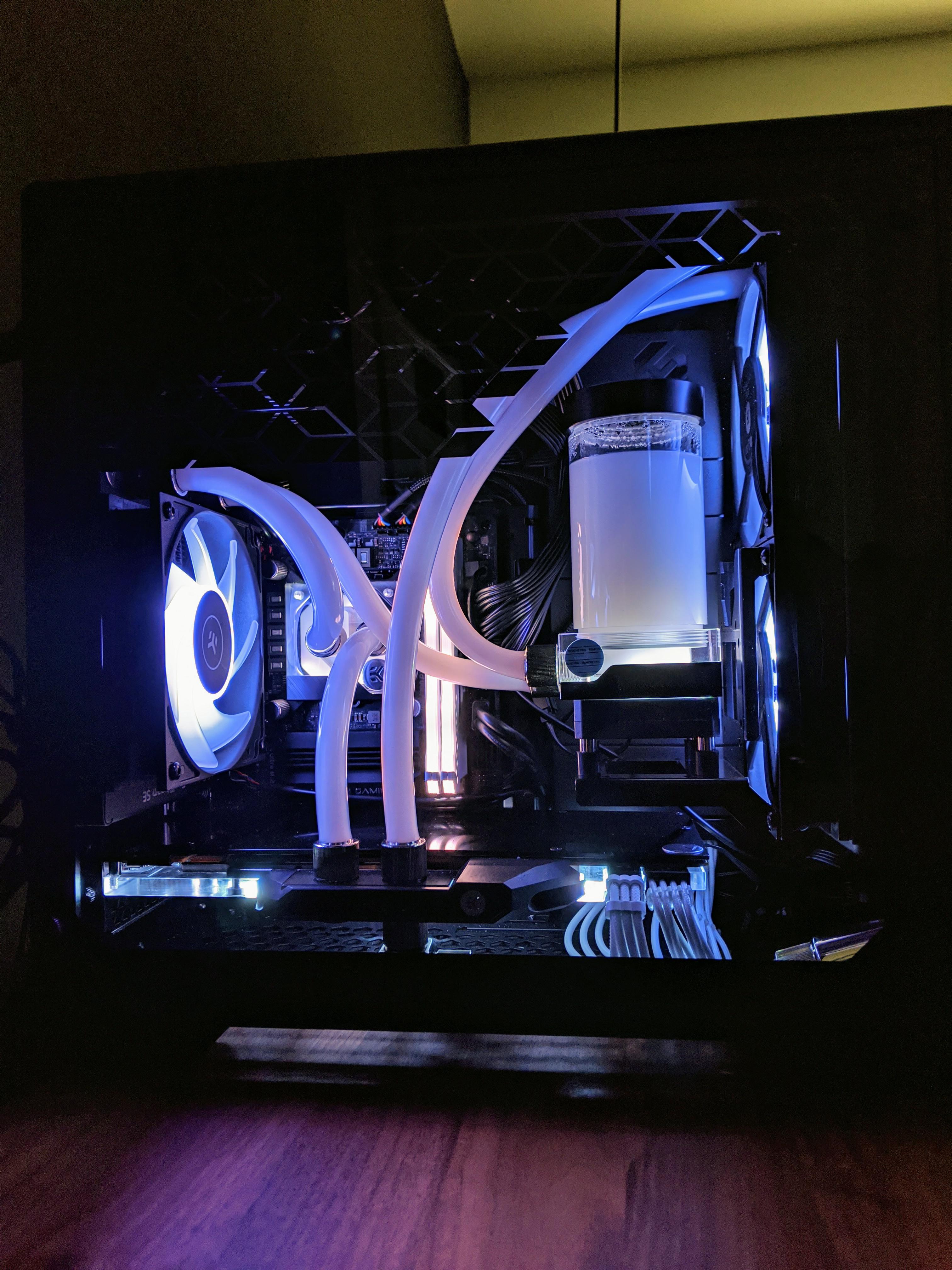 First Timer | Scrolller