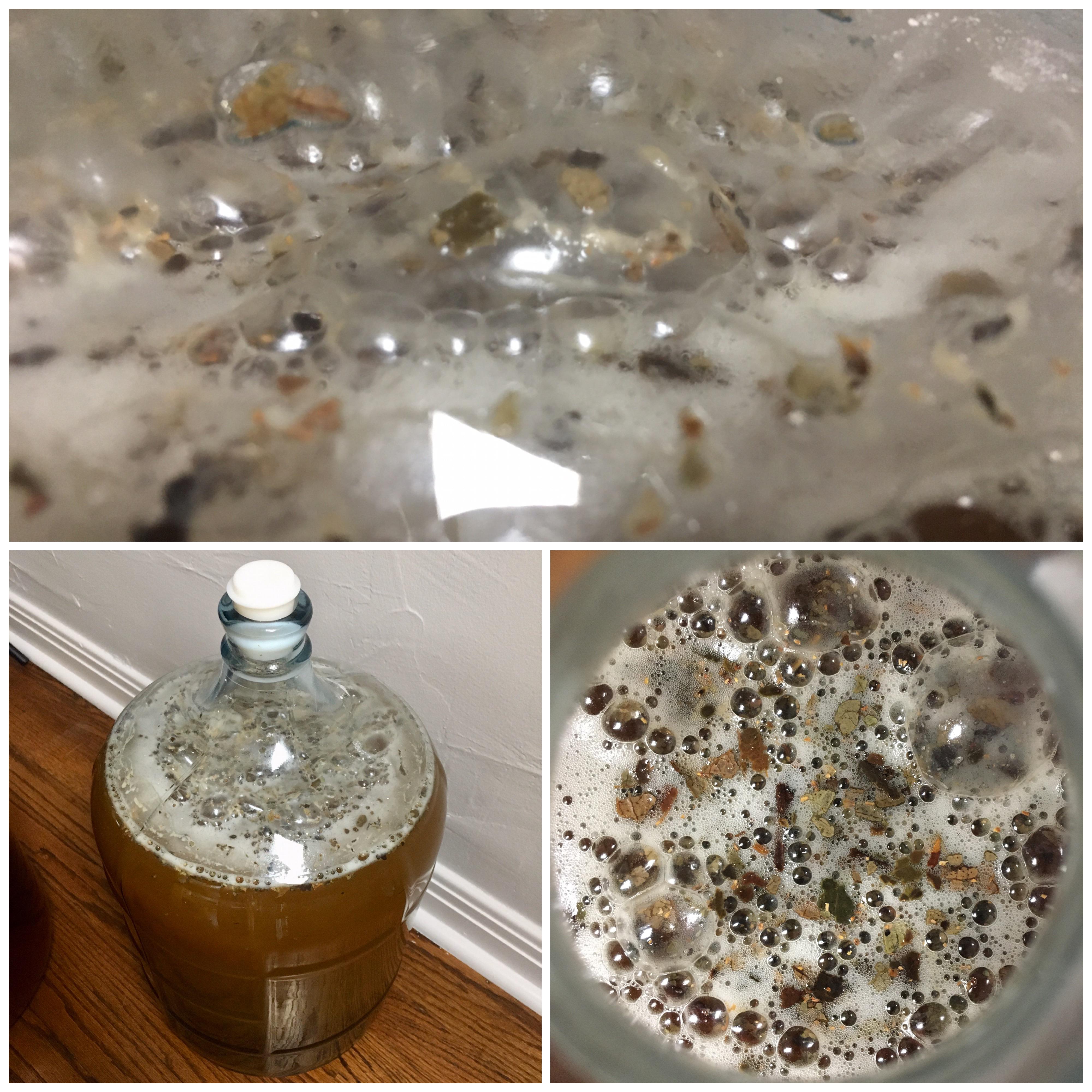 Five gallons of honey-base root beer fermenting with kveik ale yeast | Scrolller