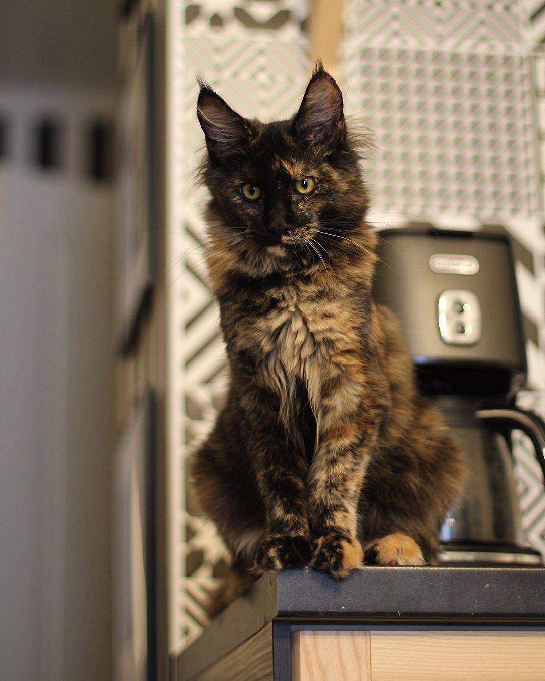 Five months, why so serious? | Scrolller