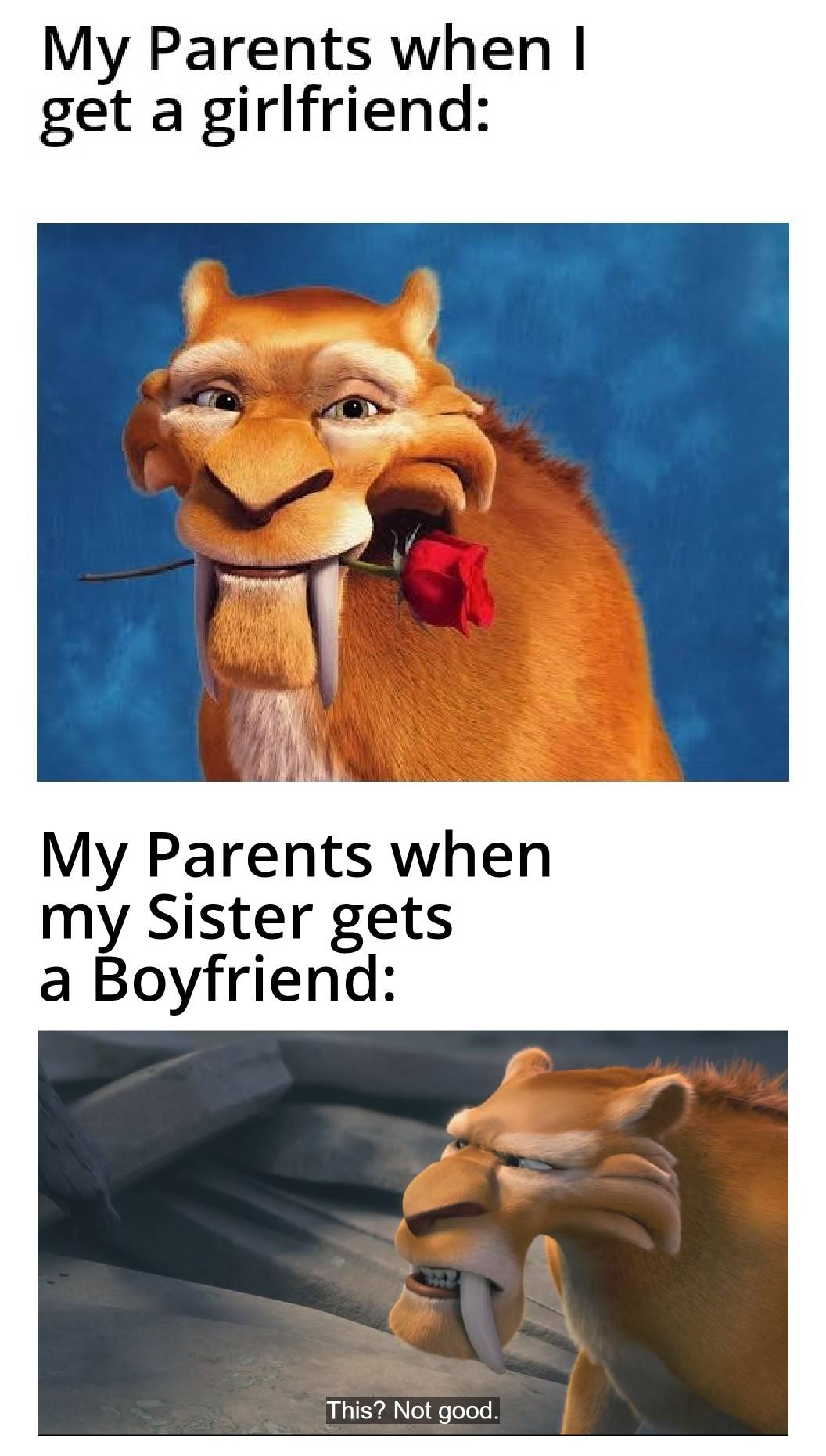 Fixed my meme | Scrolller