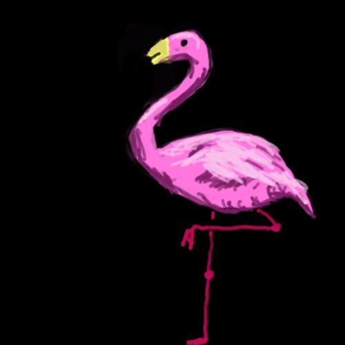 Flamboyant flamingo | Scrolller