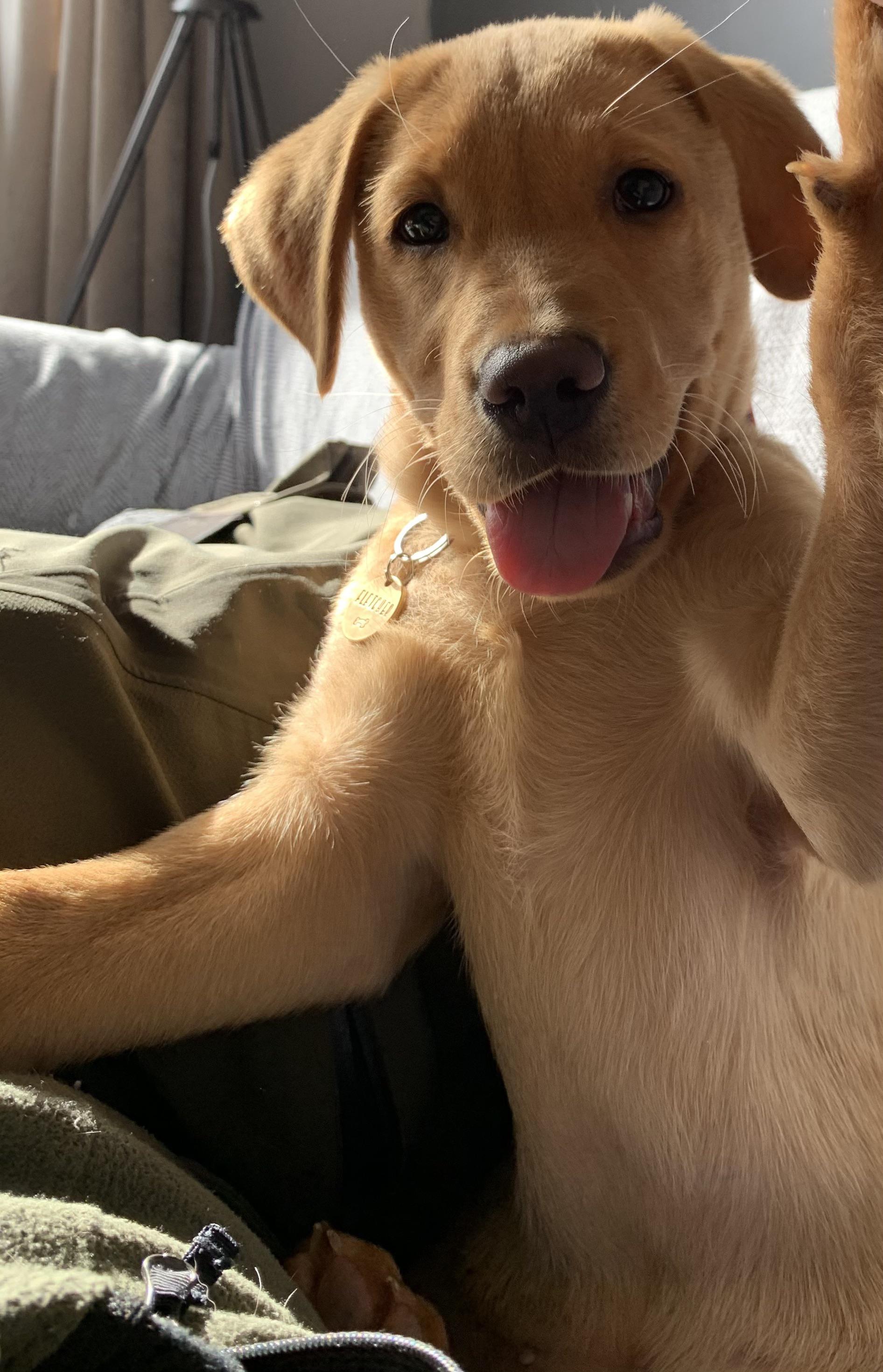 Fletcher loving his boops | Scrolller