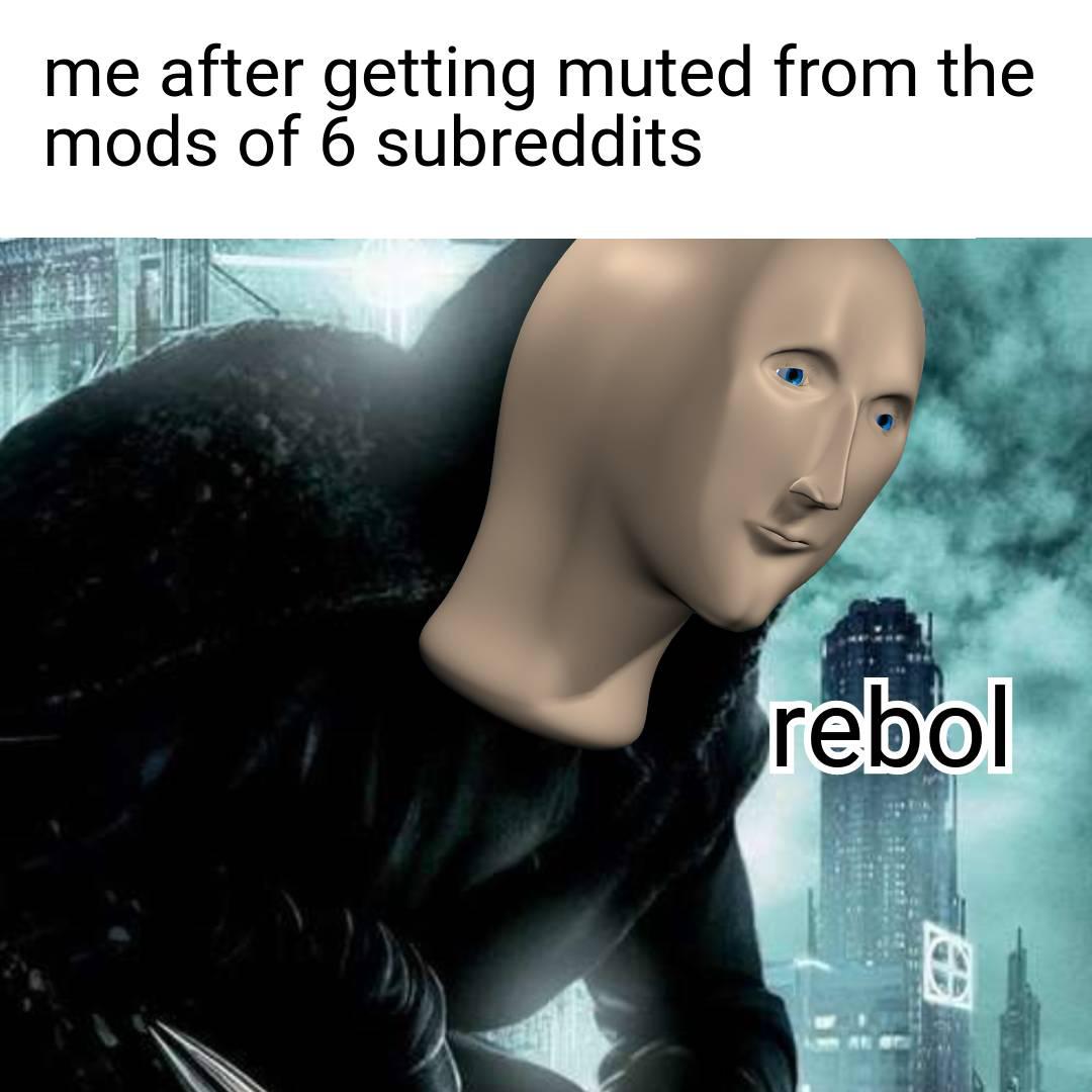 flex seal can't fix the mods hurt feelings | Scrolller