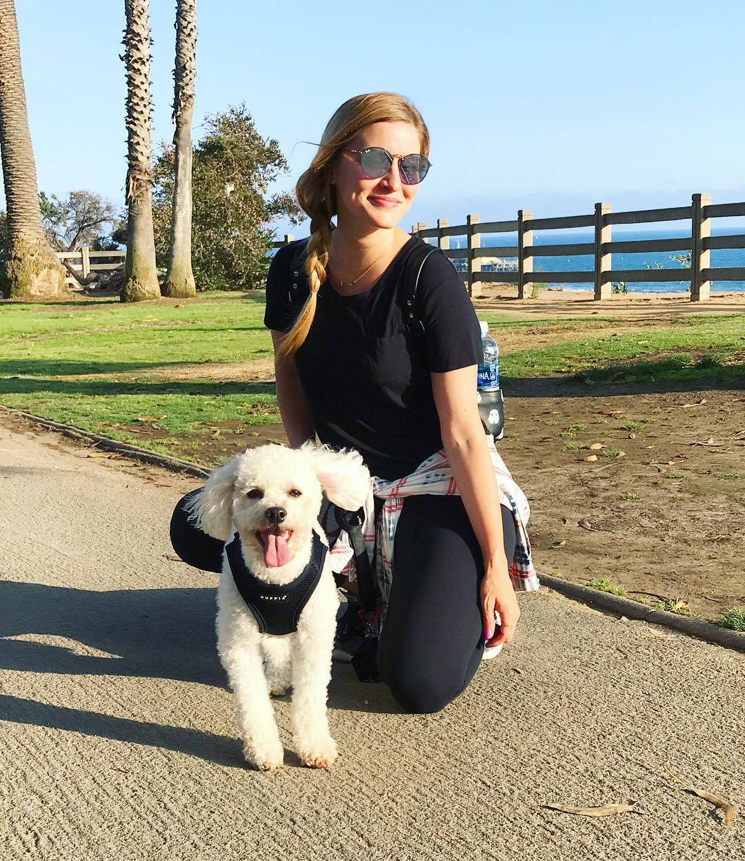 Float Away Dog | Scrolller