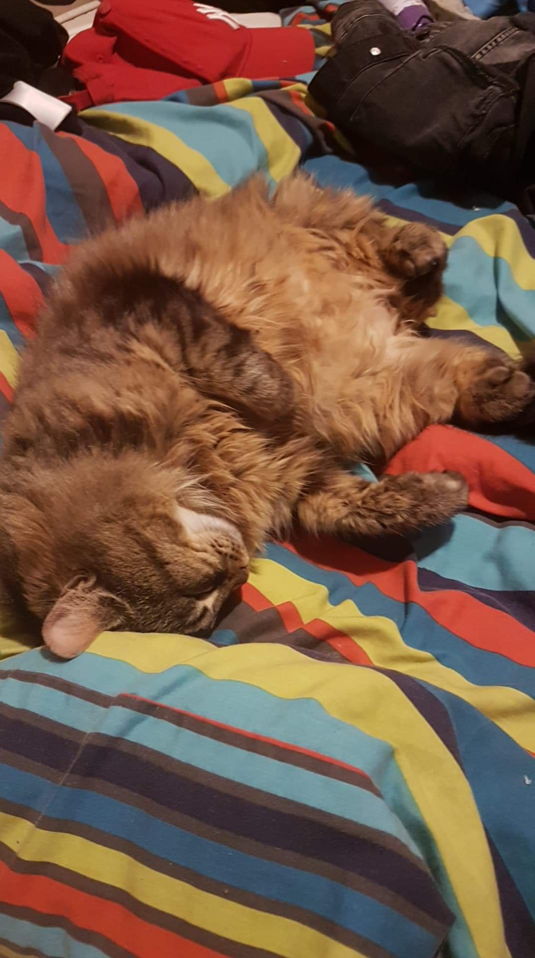 Floof Scrolller