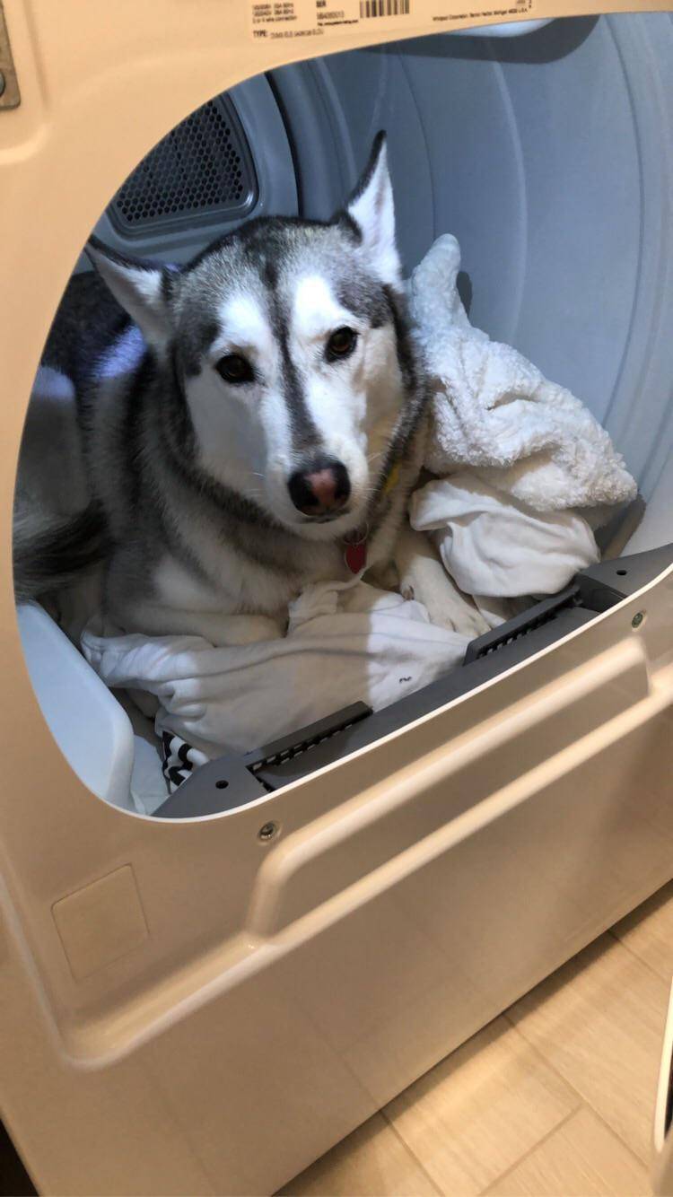 Floof cycle | Scrolller