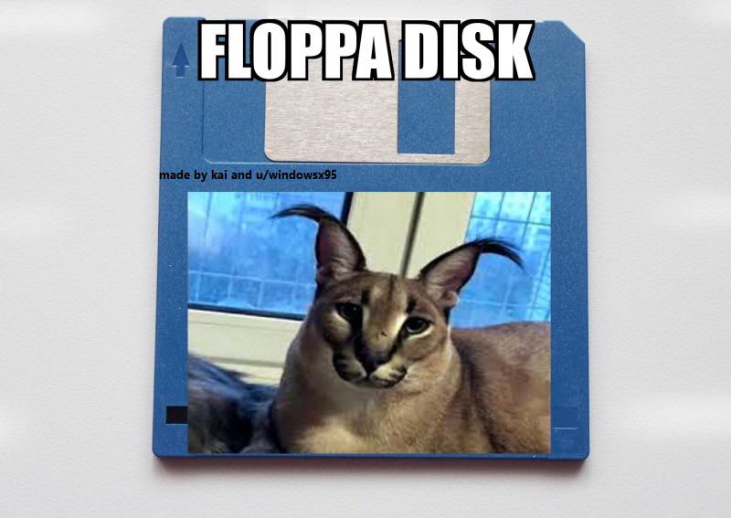 floppa disk | Scrolller