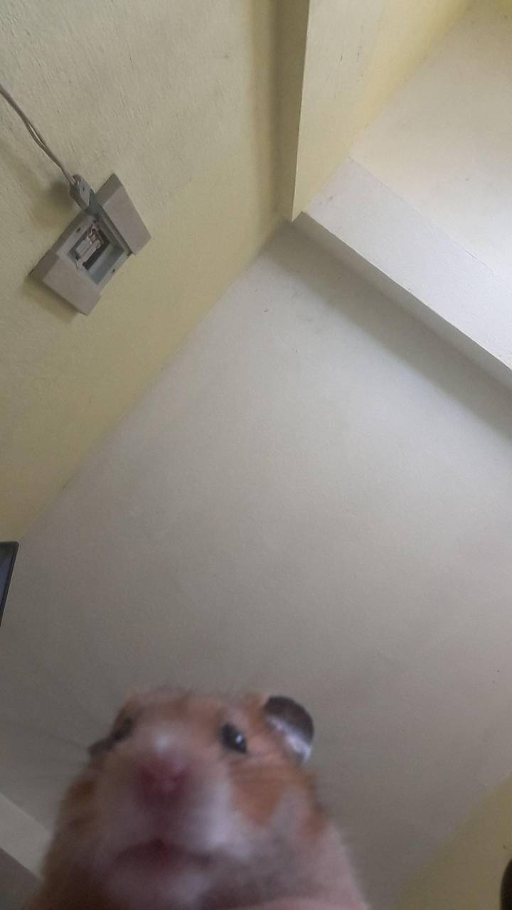 Floppy :) | Scrolller