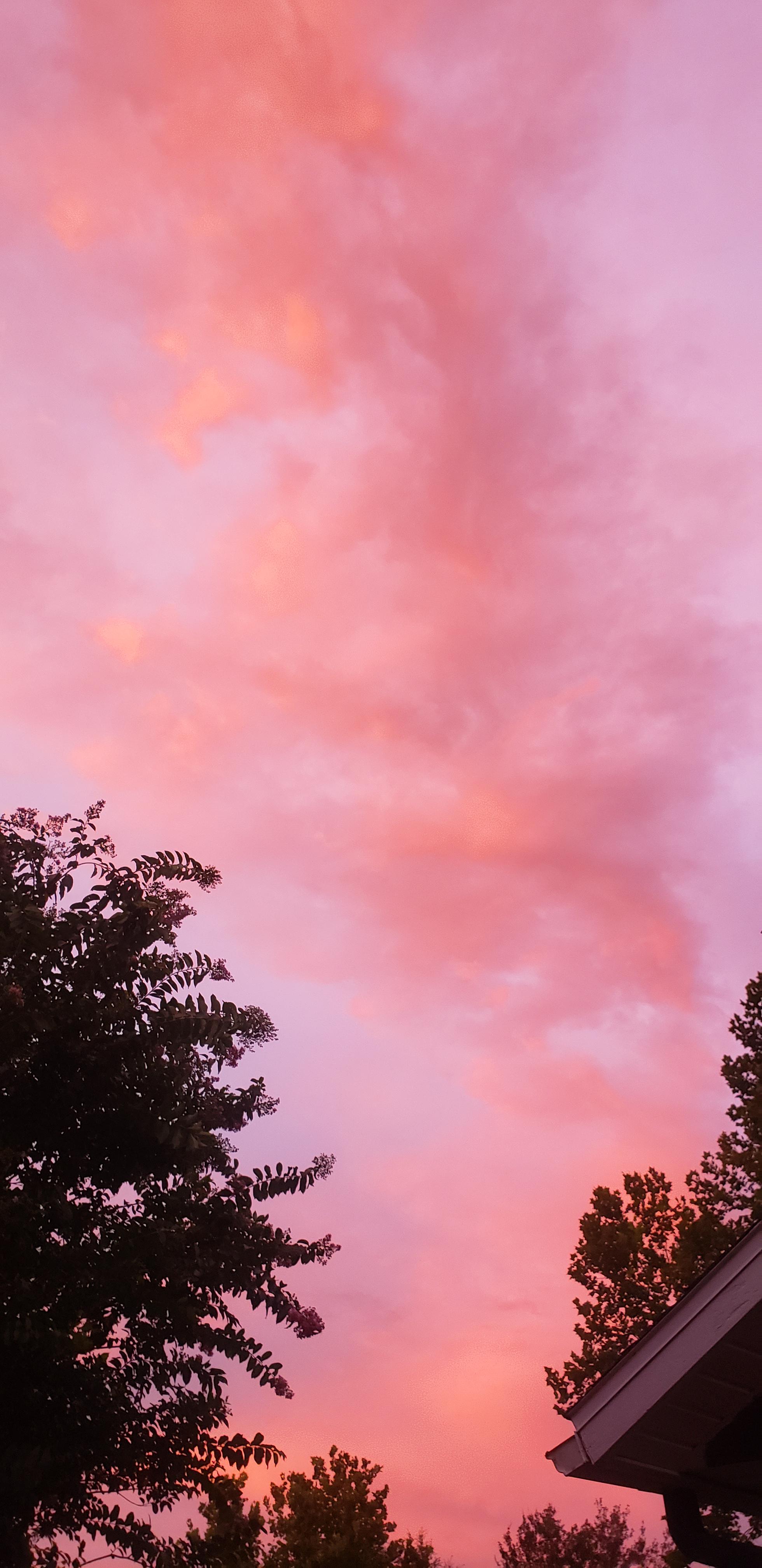 Florida cotton candy sunset | Scrolller